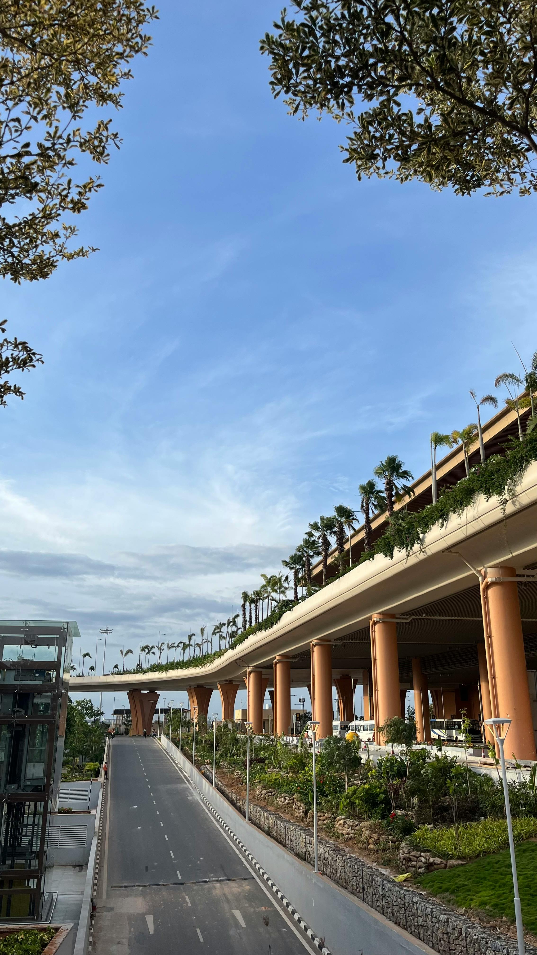 Treeline Photos, Download The BEST Free Treeline Stock Photos & HD Images