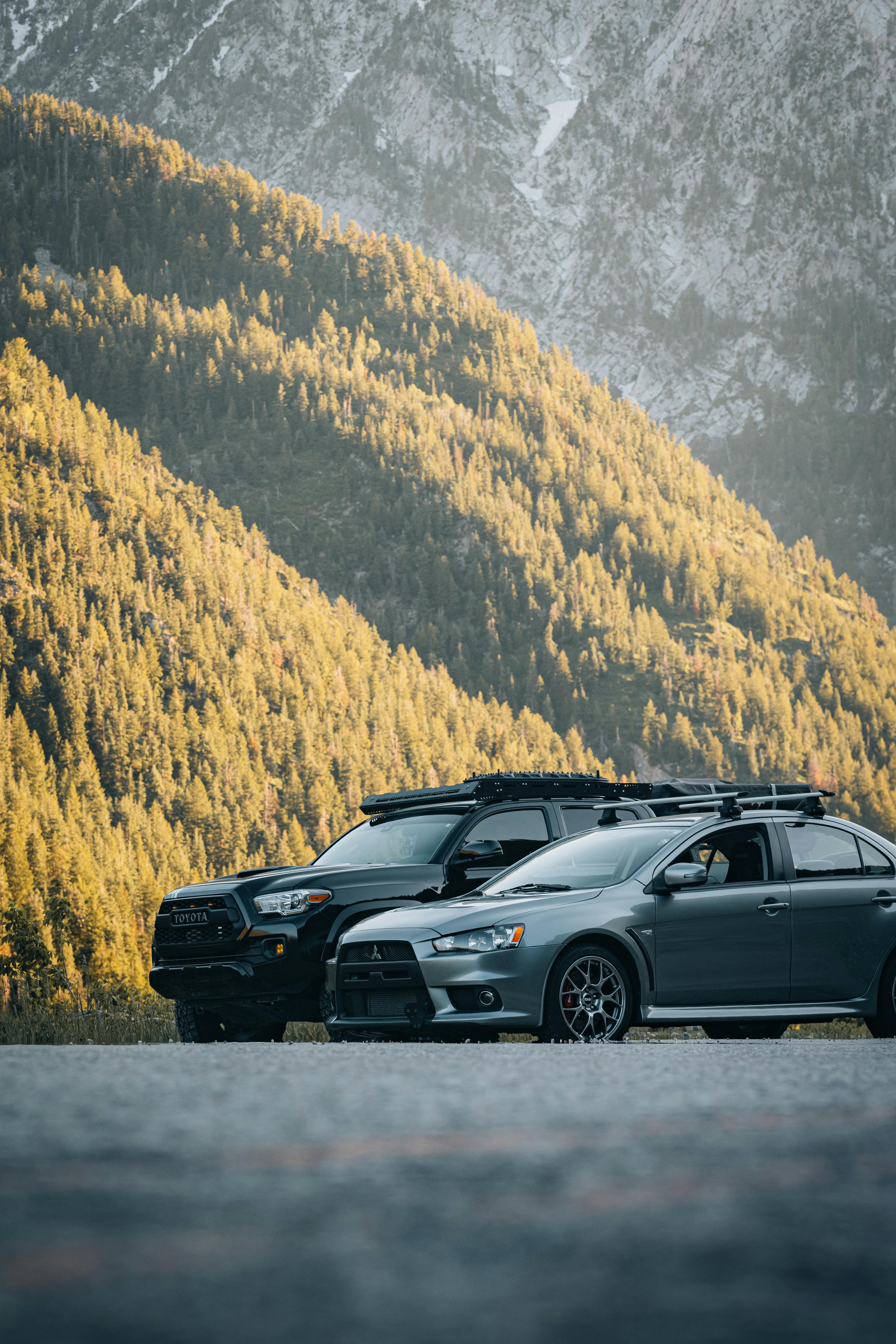 Cars near Sunlit Forest on Hill · Free Stock Photo