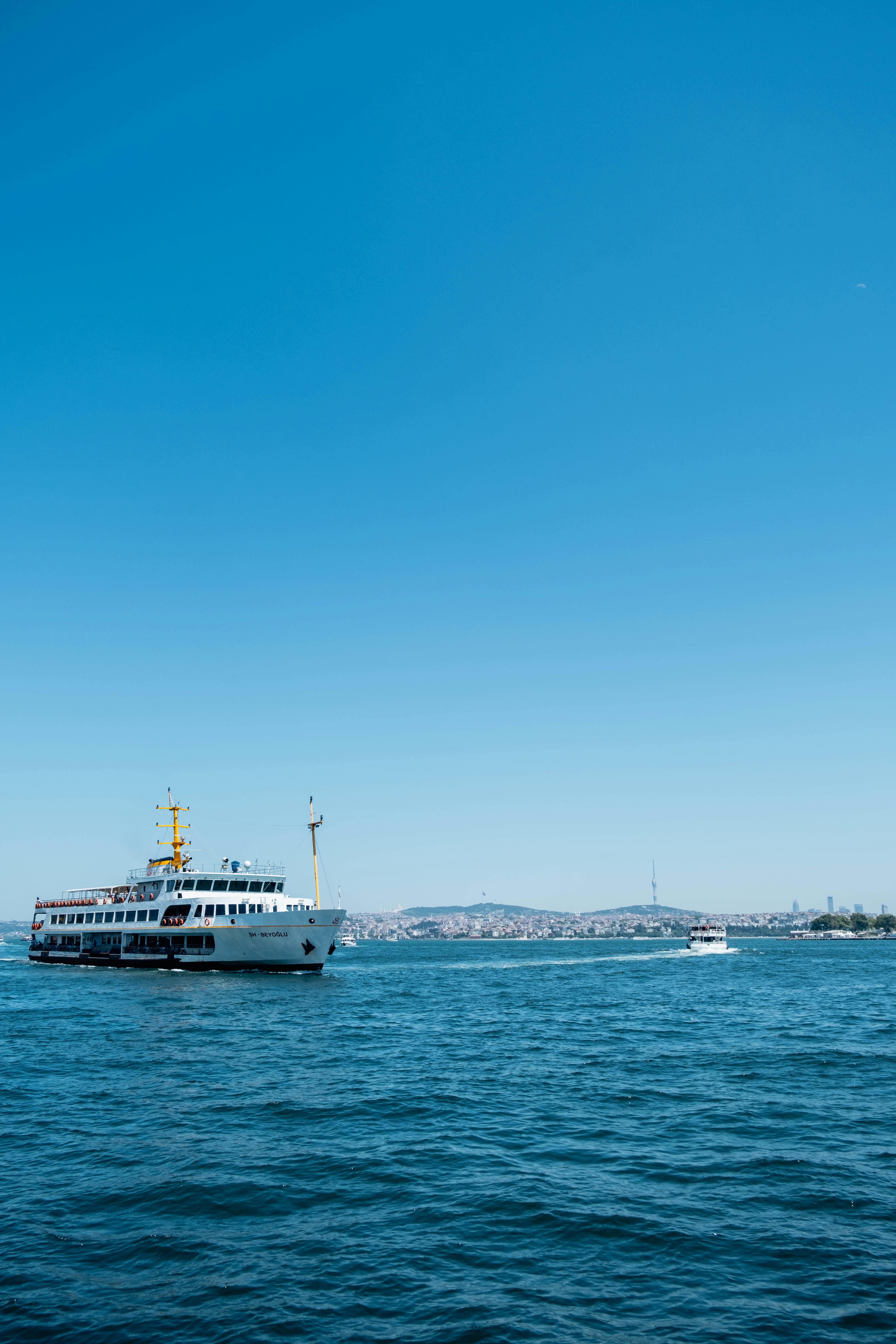 Blue Bettle Photos, Download The BEST Free Blue Bettle Stock Photos ...