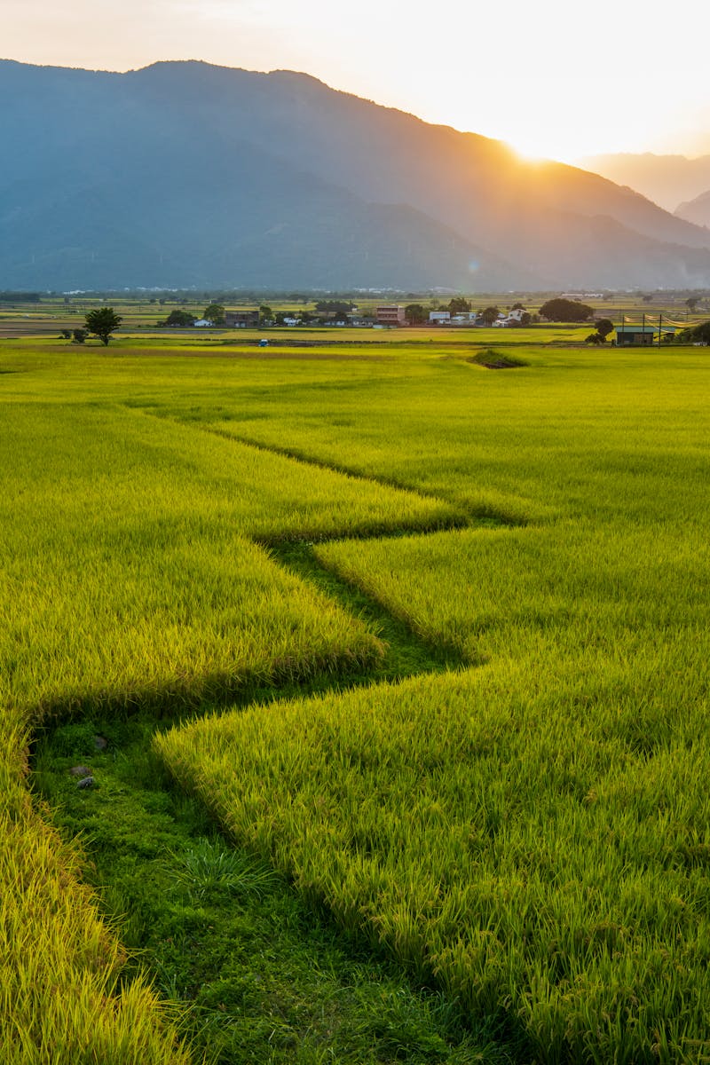 Regular Photos, Download The BEST Free Regular Stock Photos & HD Images