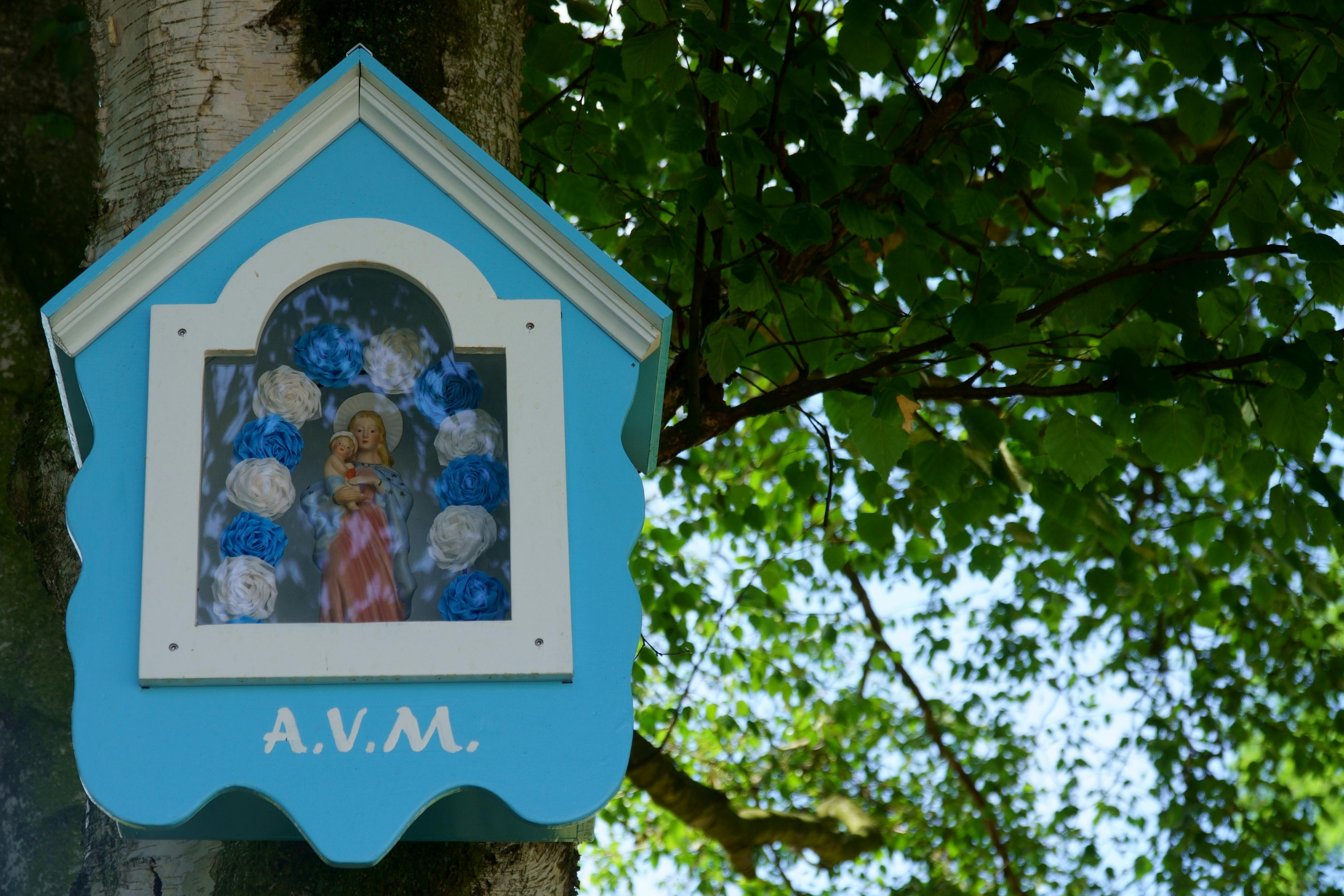 Ave Maria Photos, Download The BEST Free Ave Maria Stock Photos & HD Images