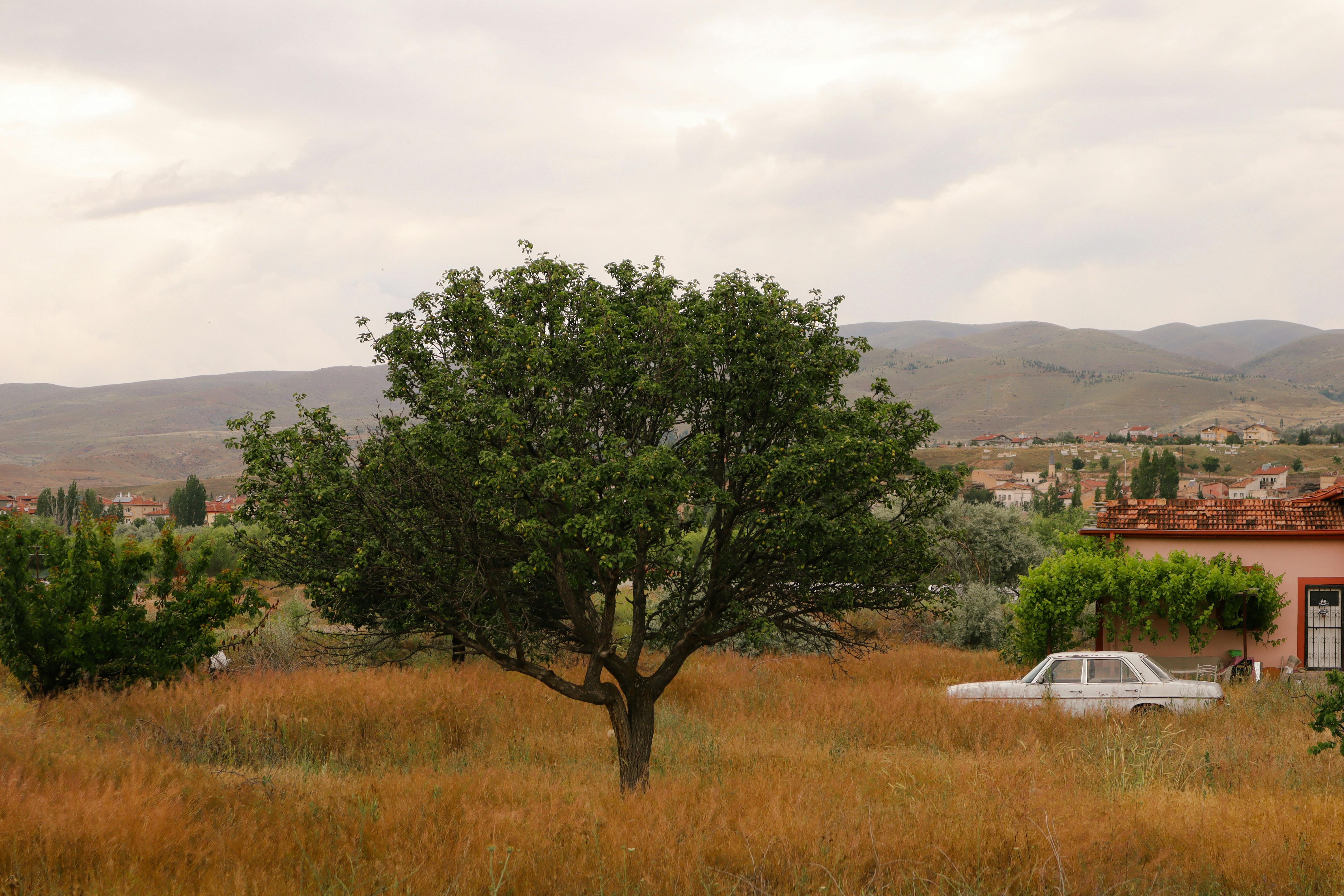 View of a Field and Village in the Valley · Free Stock Photo