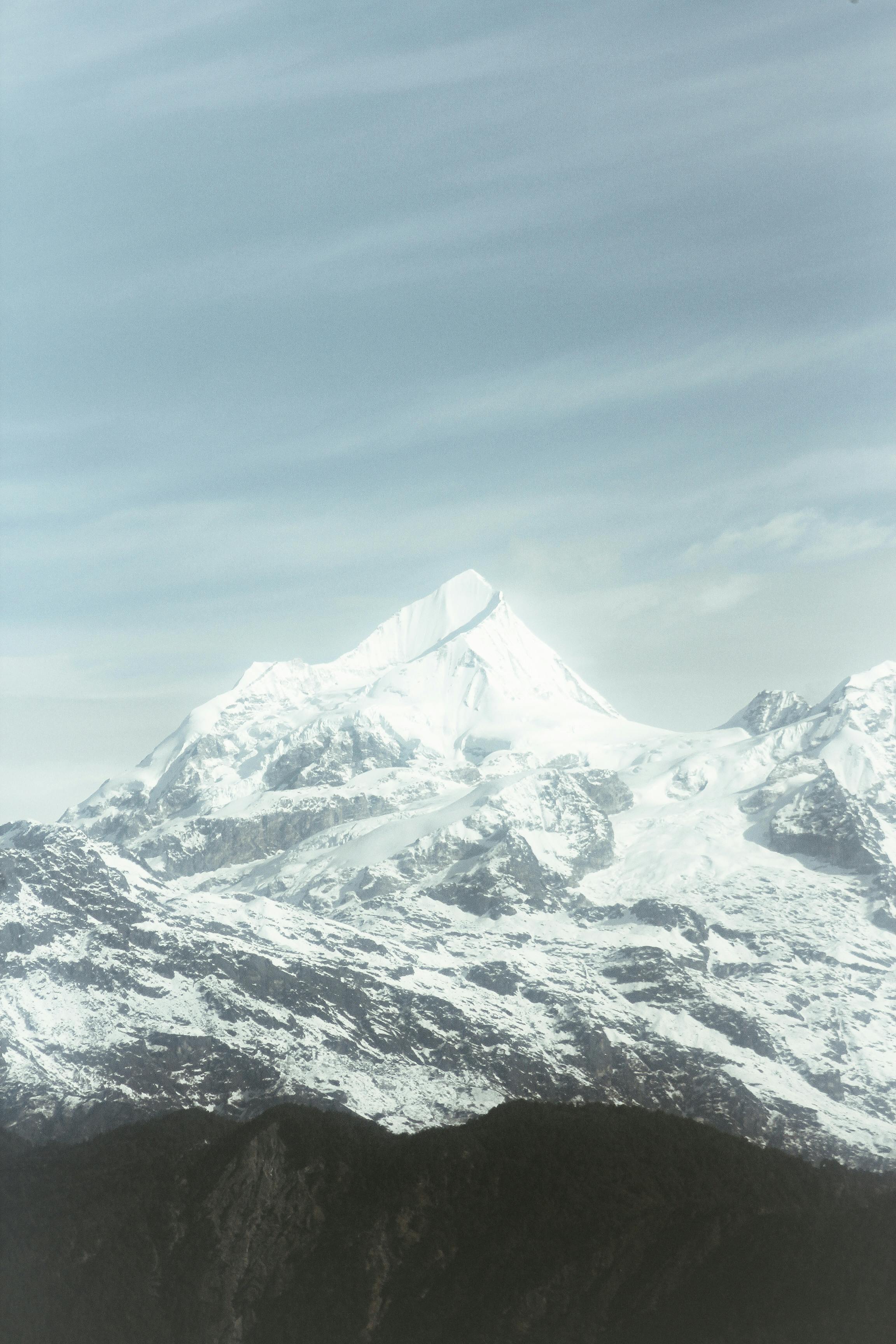 1+ Million Royalty Free Images · Pexels