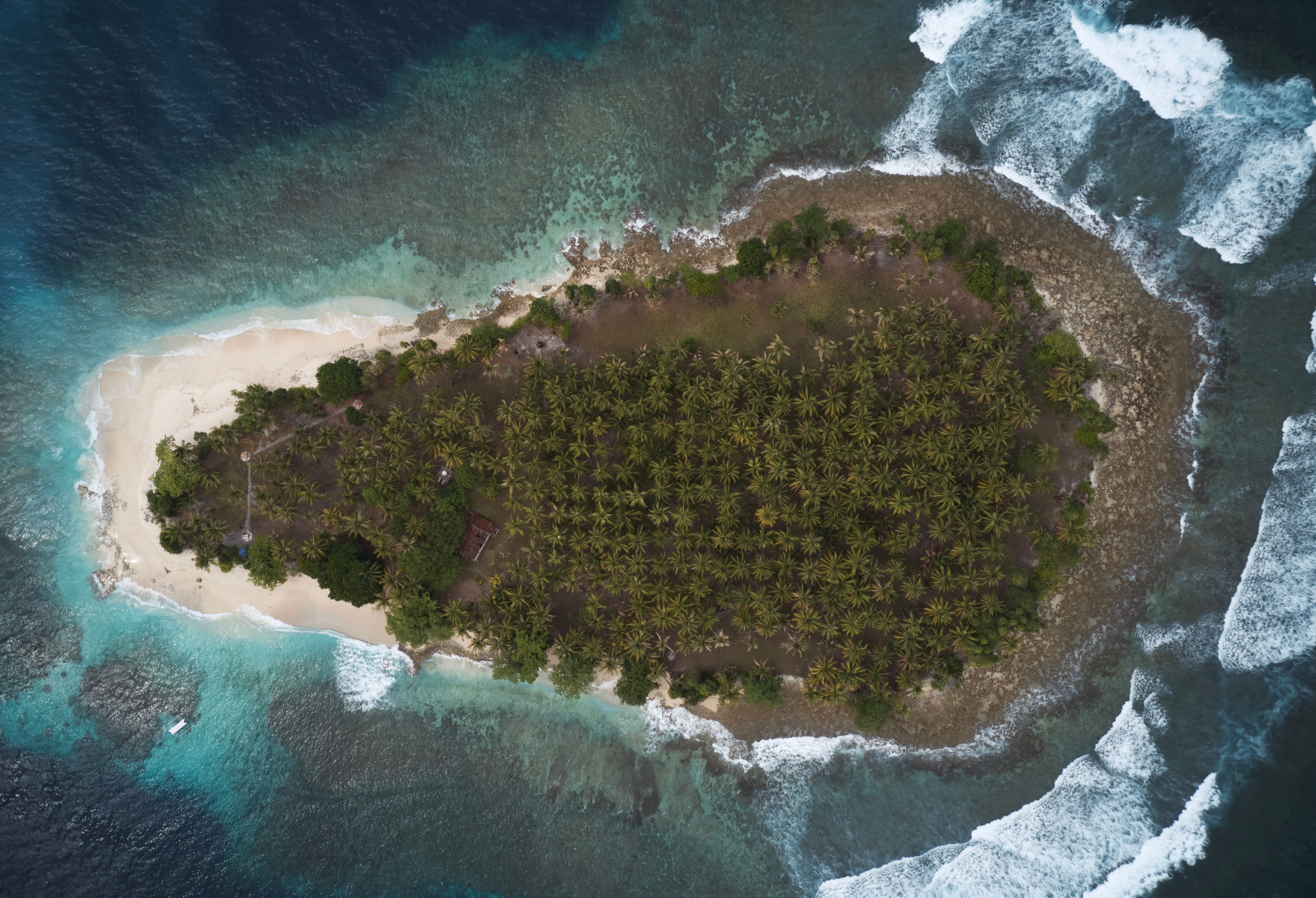 Forest on Island on Sea Shore · Free Stock Photo