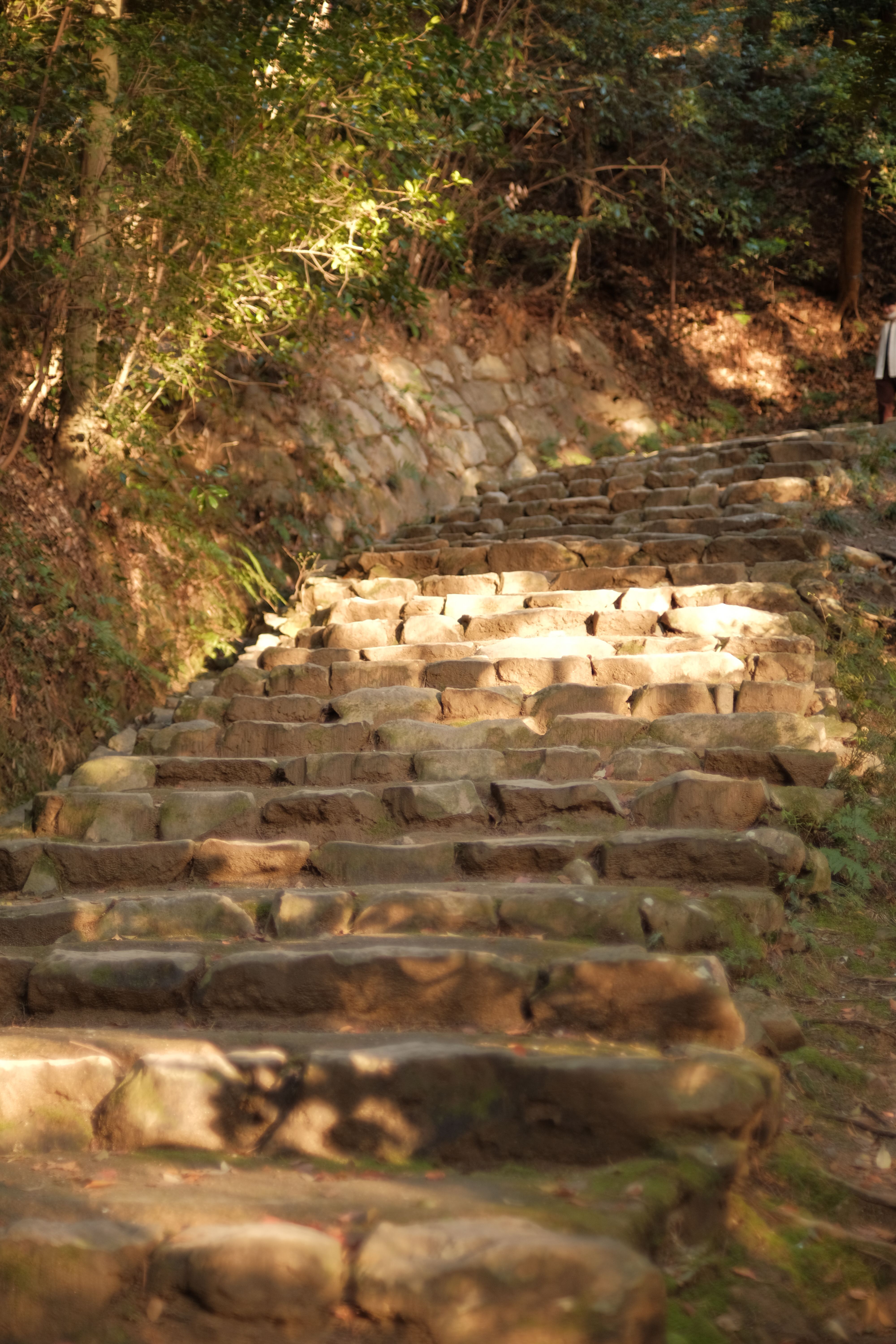 Steep Stairs Photos, Download The BEST Free Steep Stairs Stock Photos ...
