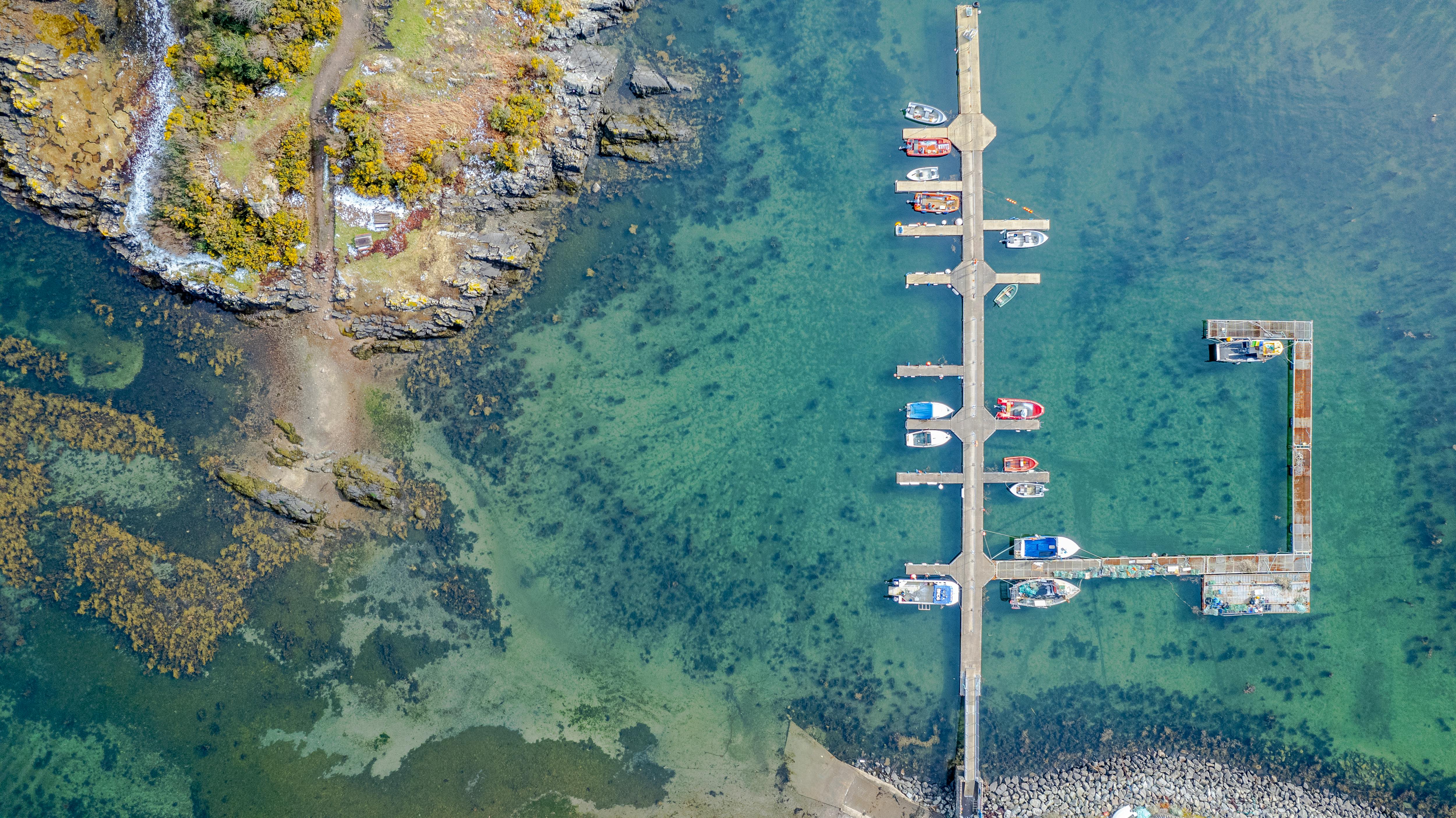 Birds Eye View of Piers with Motorboats · Free Stock Photo