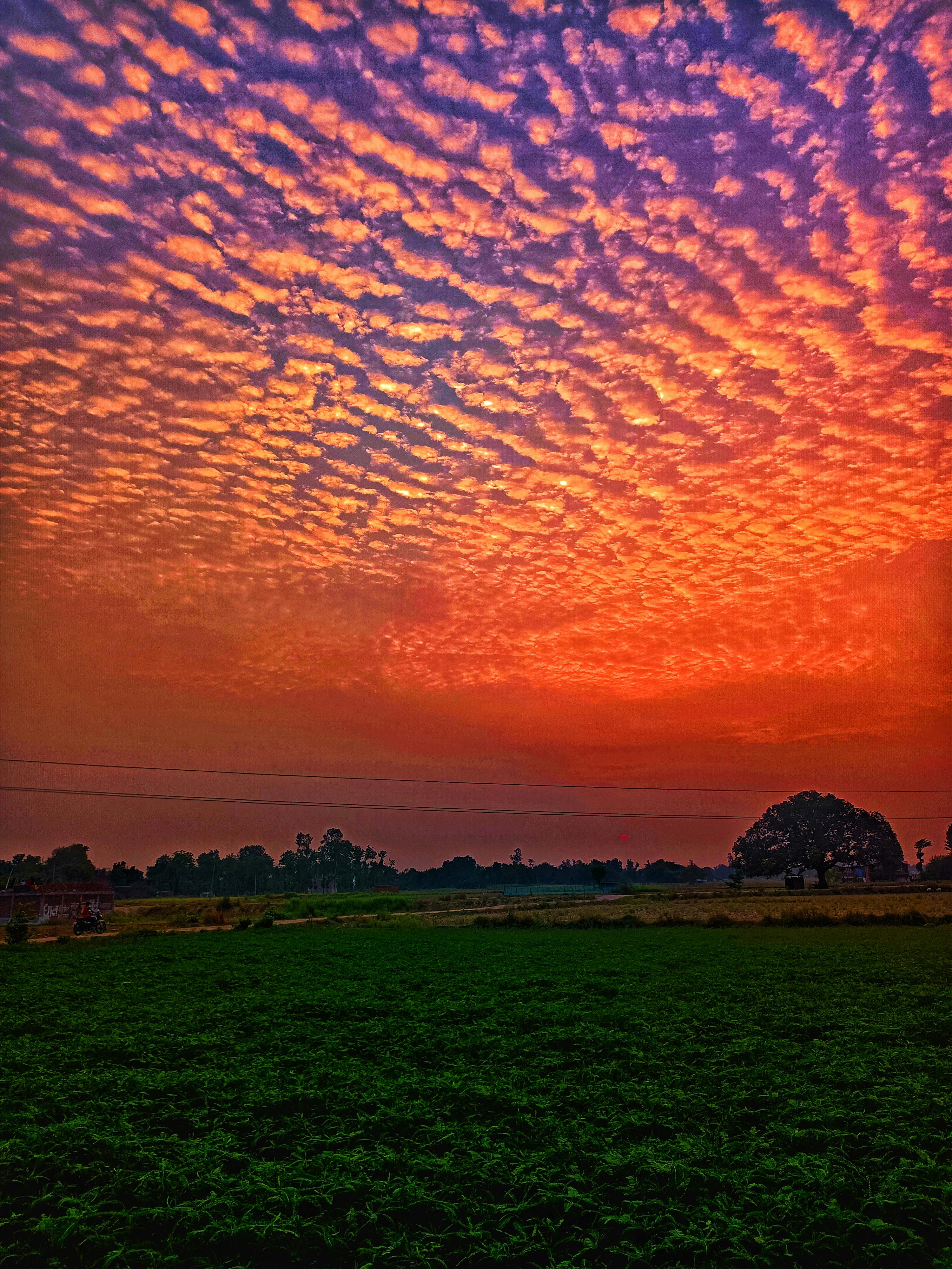 AkaSh paTel - 攝影