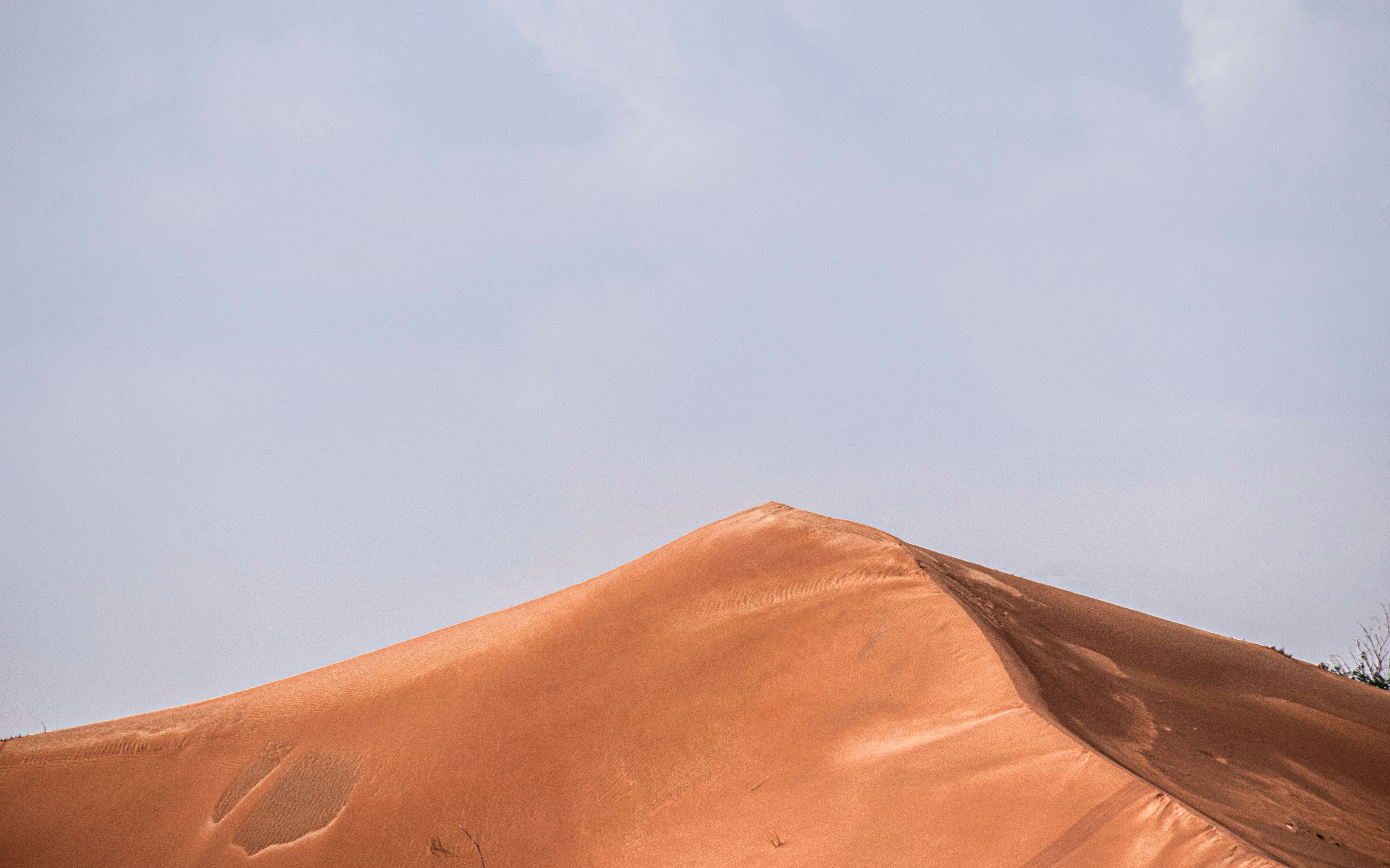 Pessoas Caminhando No Deserto Durante O Dia · Foto profissional gratuita