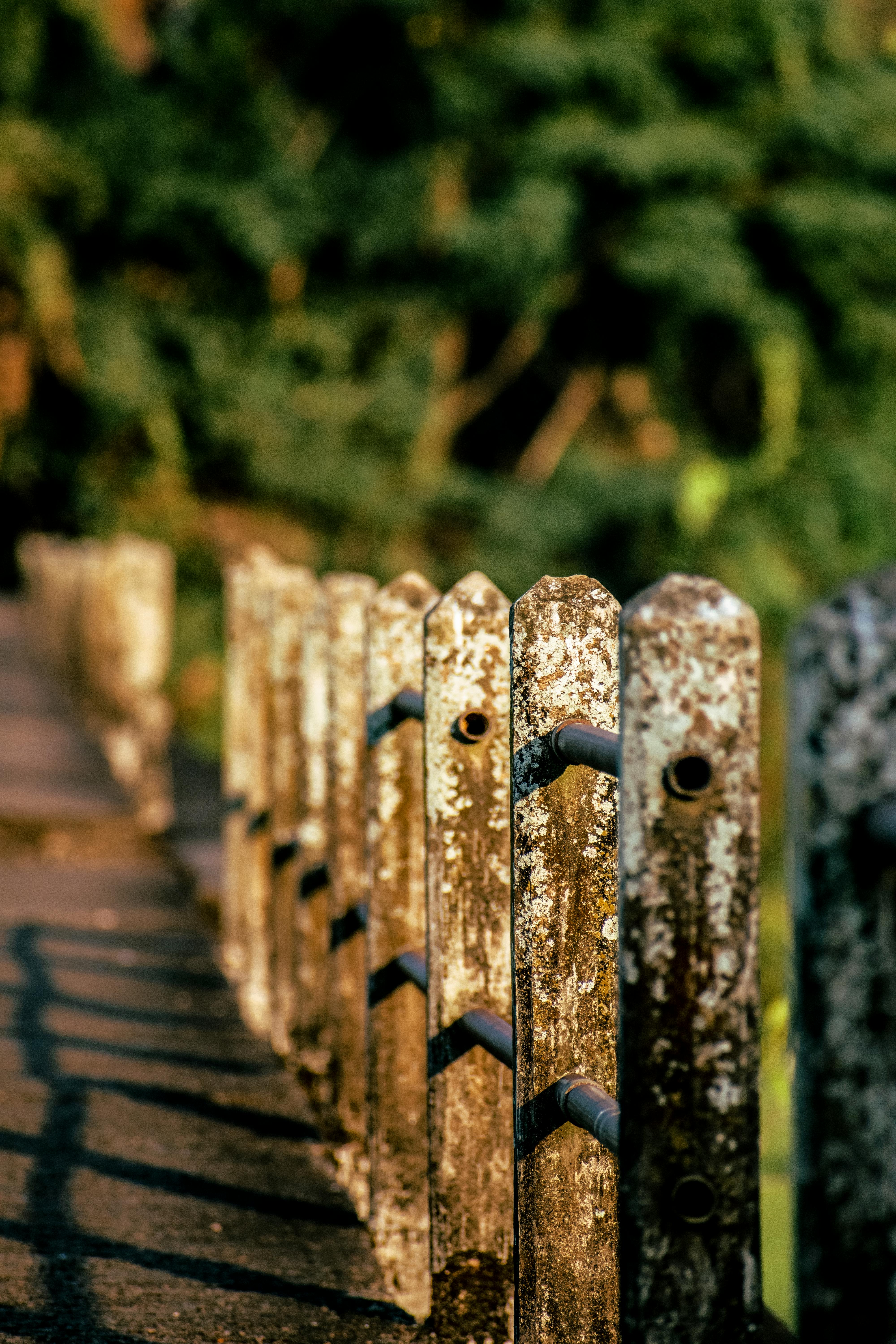 Design of Vintage Fence Bars · Free Stock Photo
