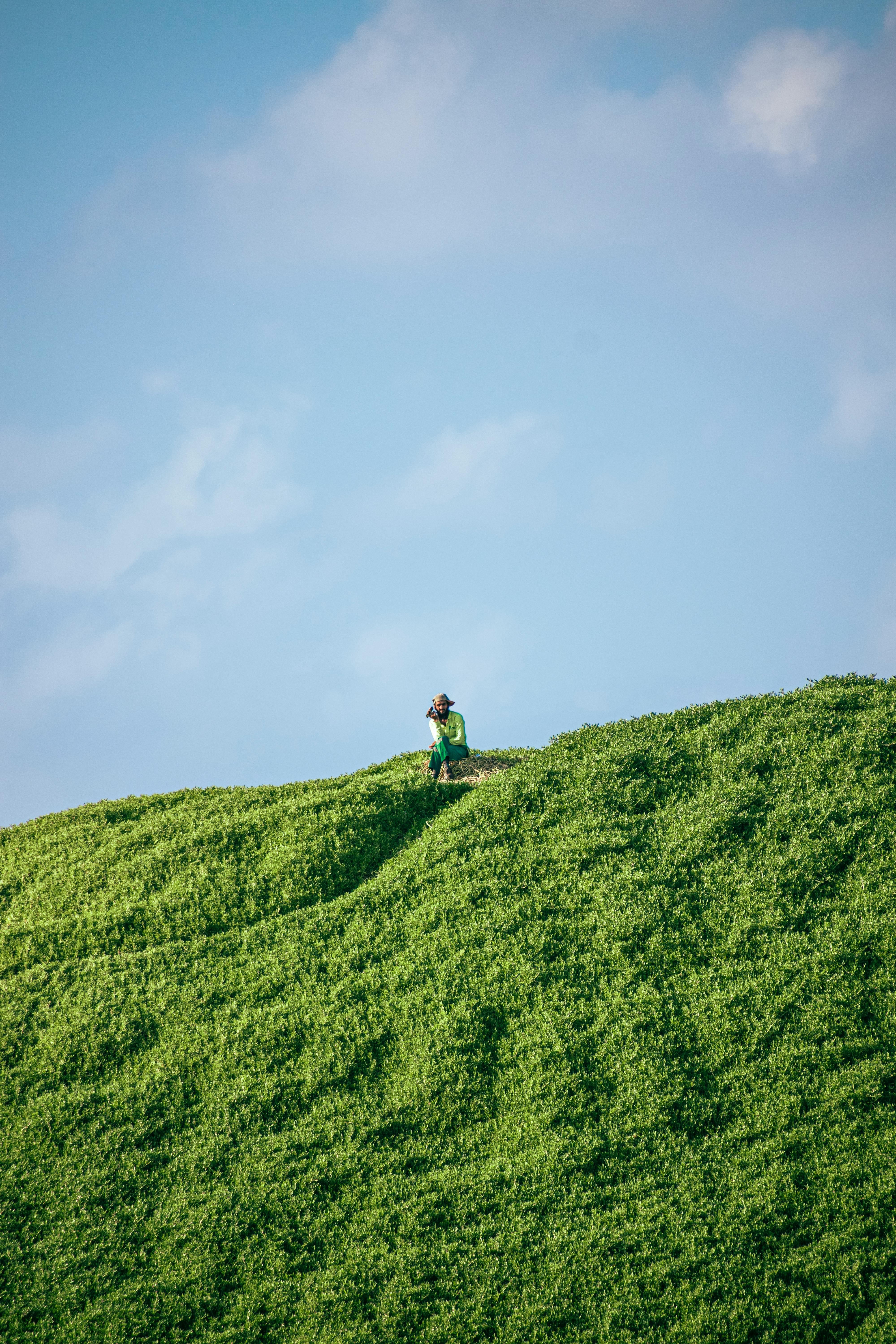 Bue Background Photos, Download The BEST Free Bue Background Stock ...