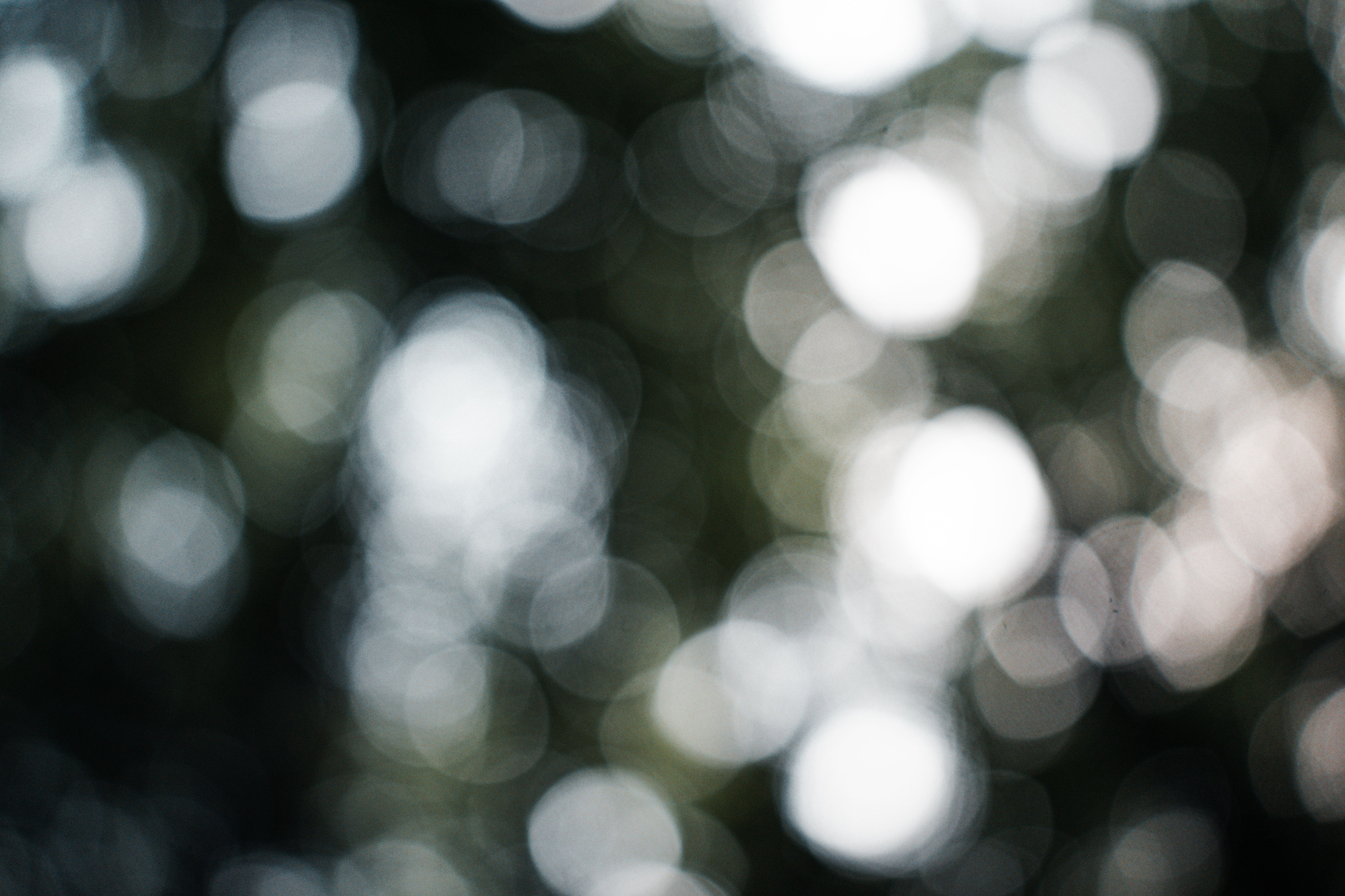 Light Bokeh Photography · Free Stock Photo
