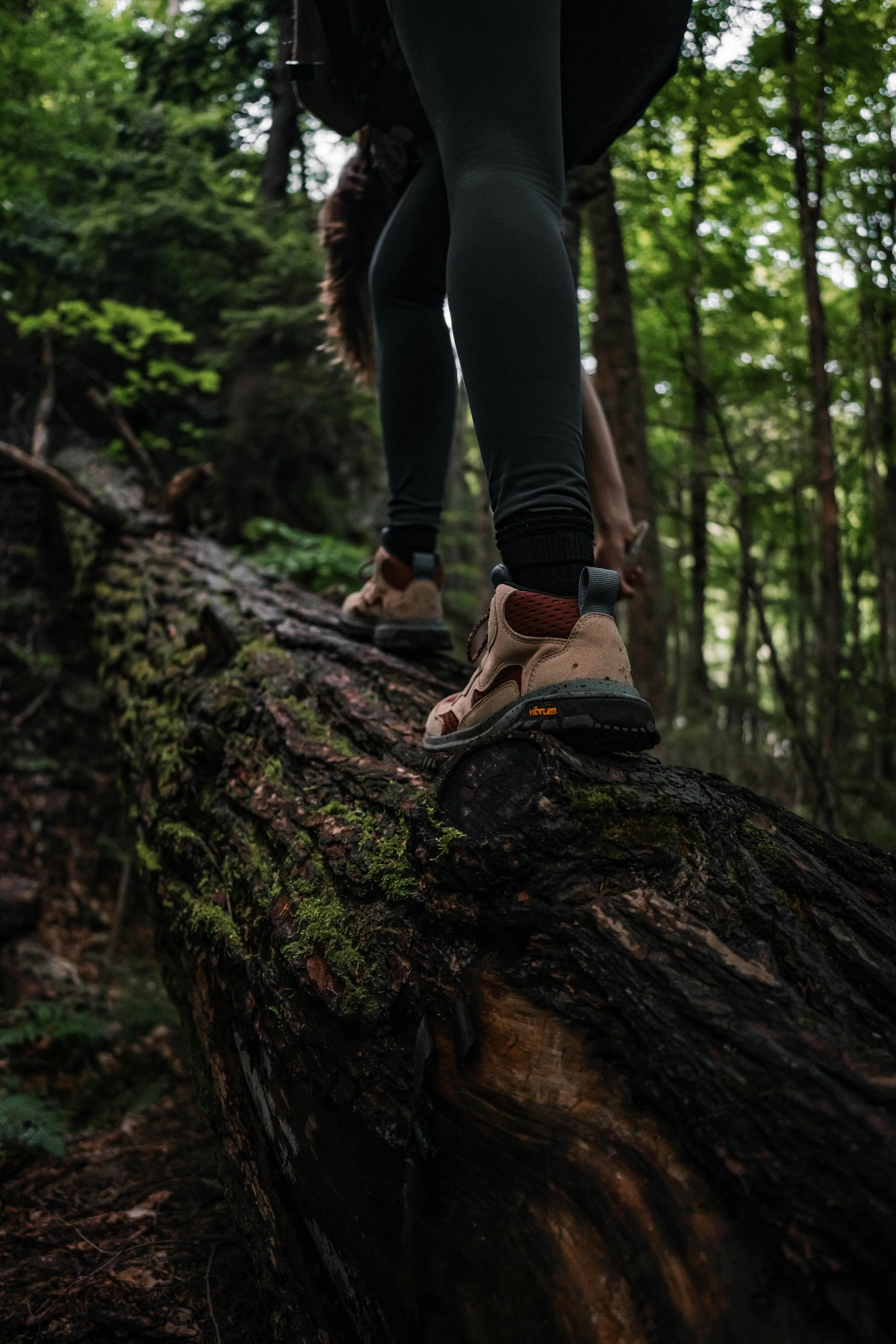 Legs of Hiking Person on Tree Trunk · Free Stock Photo