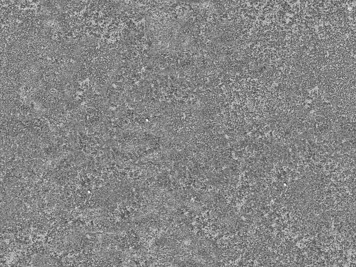 Surface Texturing Cell Photos, Download The BEST Free Surface Texturing ...