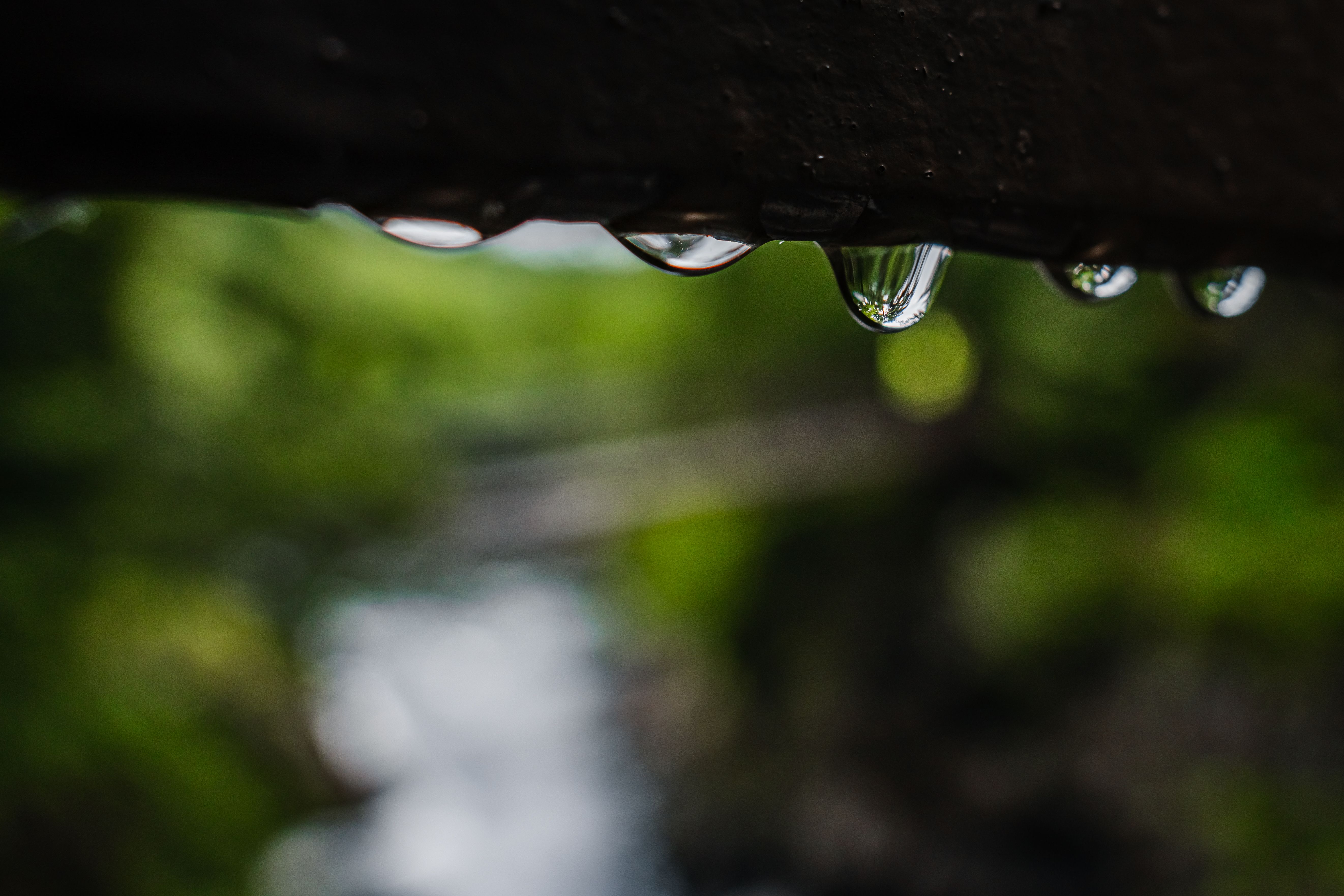 Close up of Raindrops · Free Stock Photo