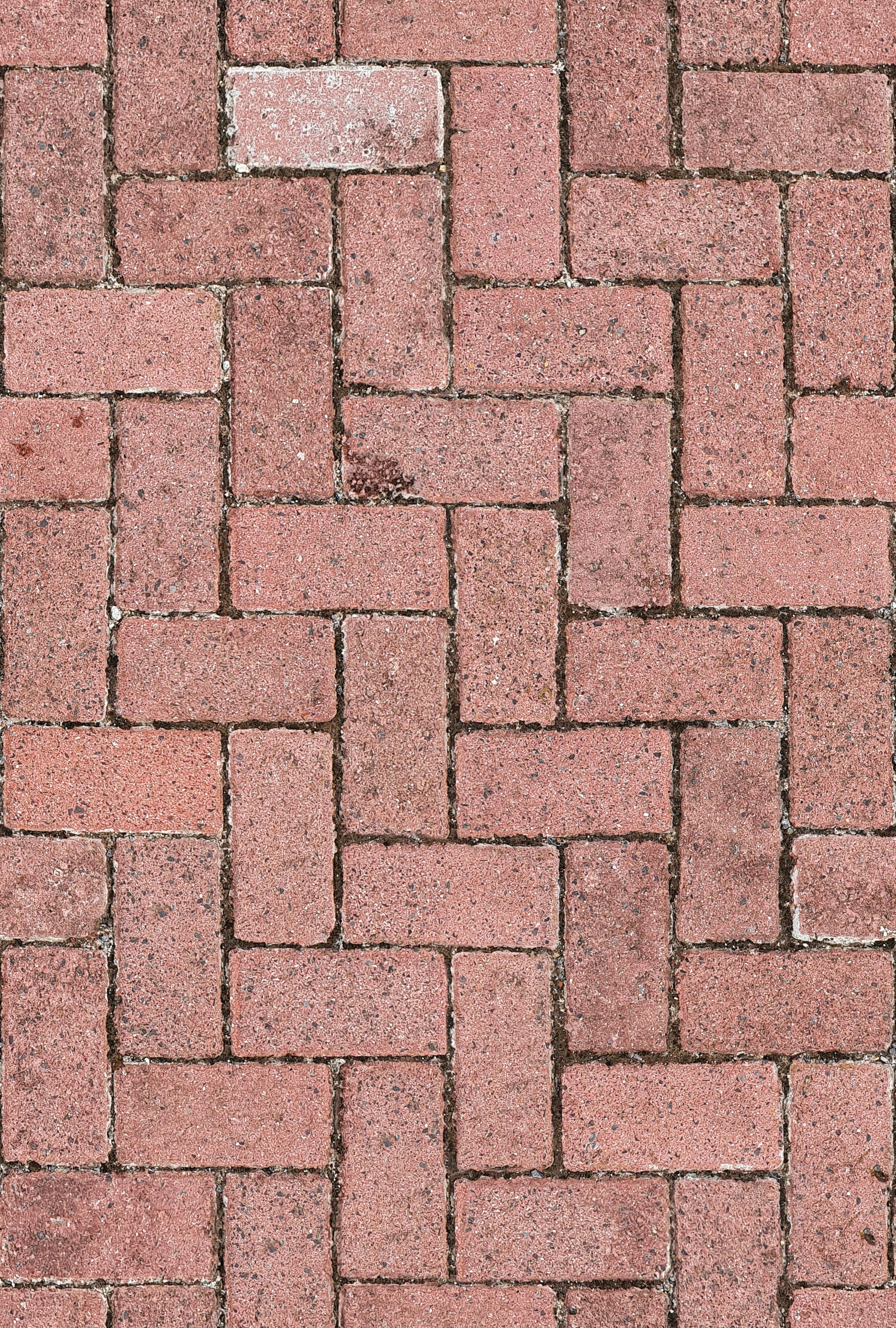 Pink Pavers on Pavement · Free Stock Photo