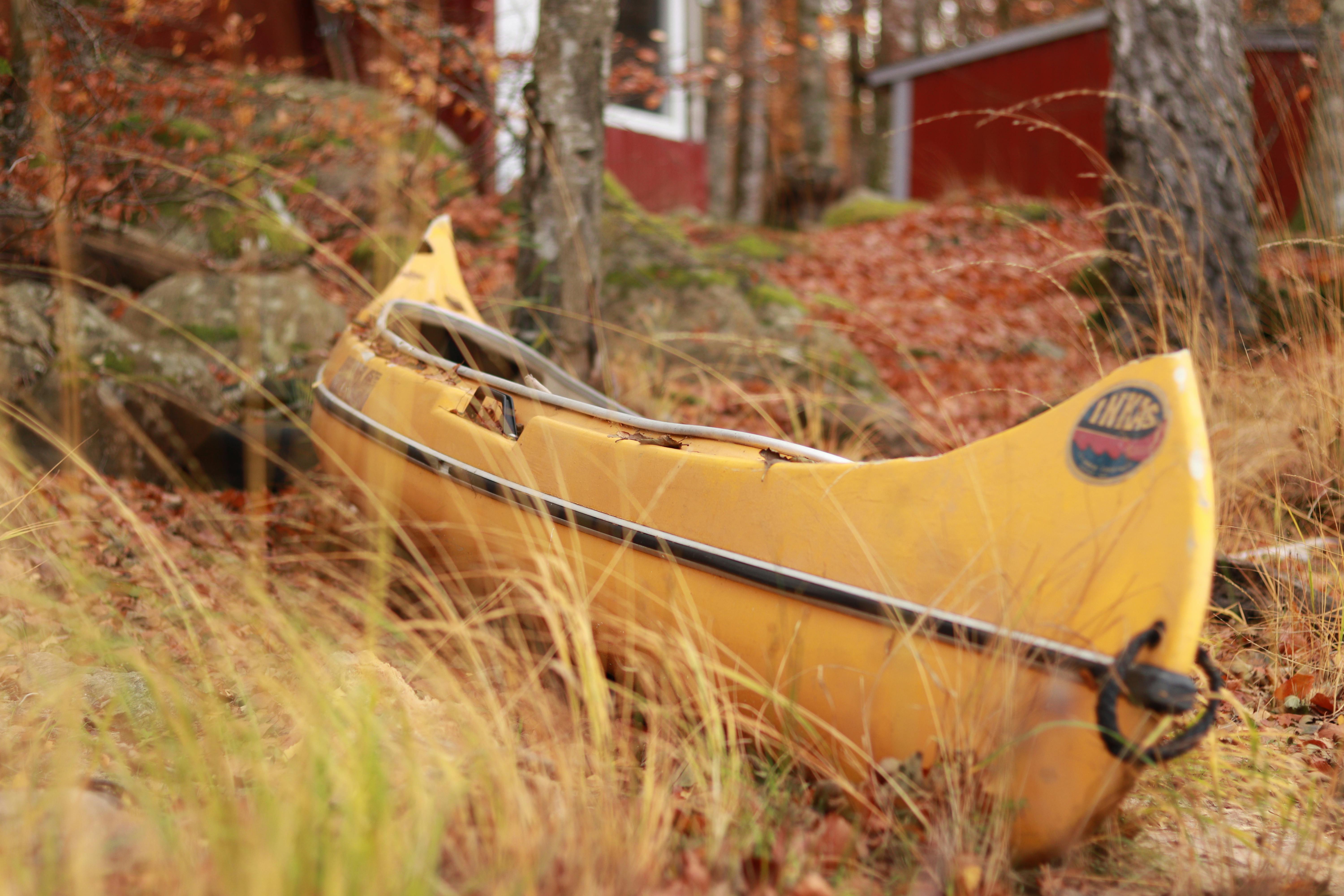 Canoe among Trees in Autumn · Free Stock Photo