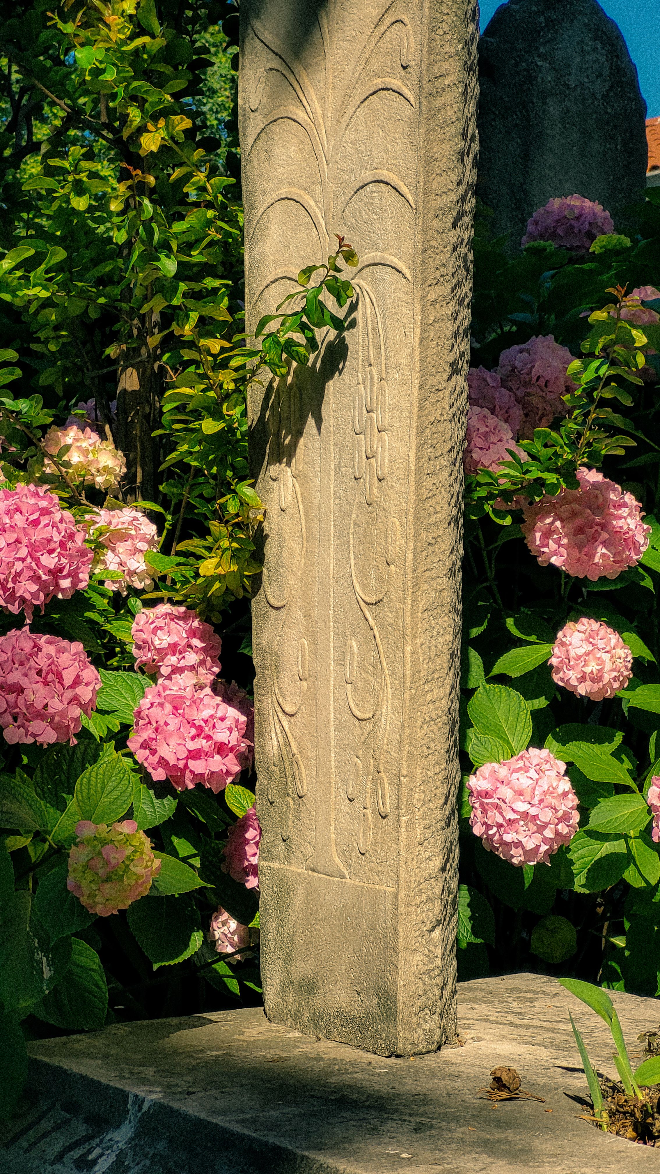 Pink History Photos, Download The BEST Free Pink History Stock Photos ...