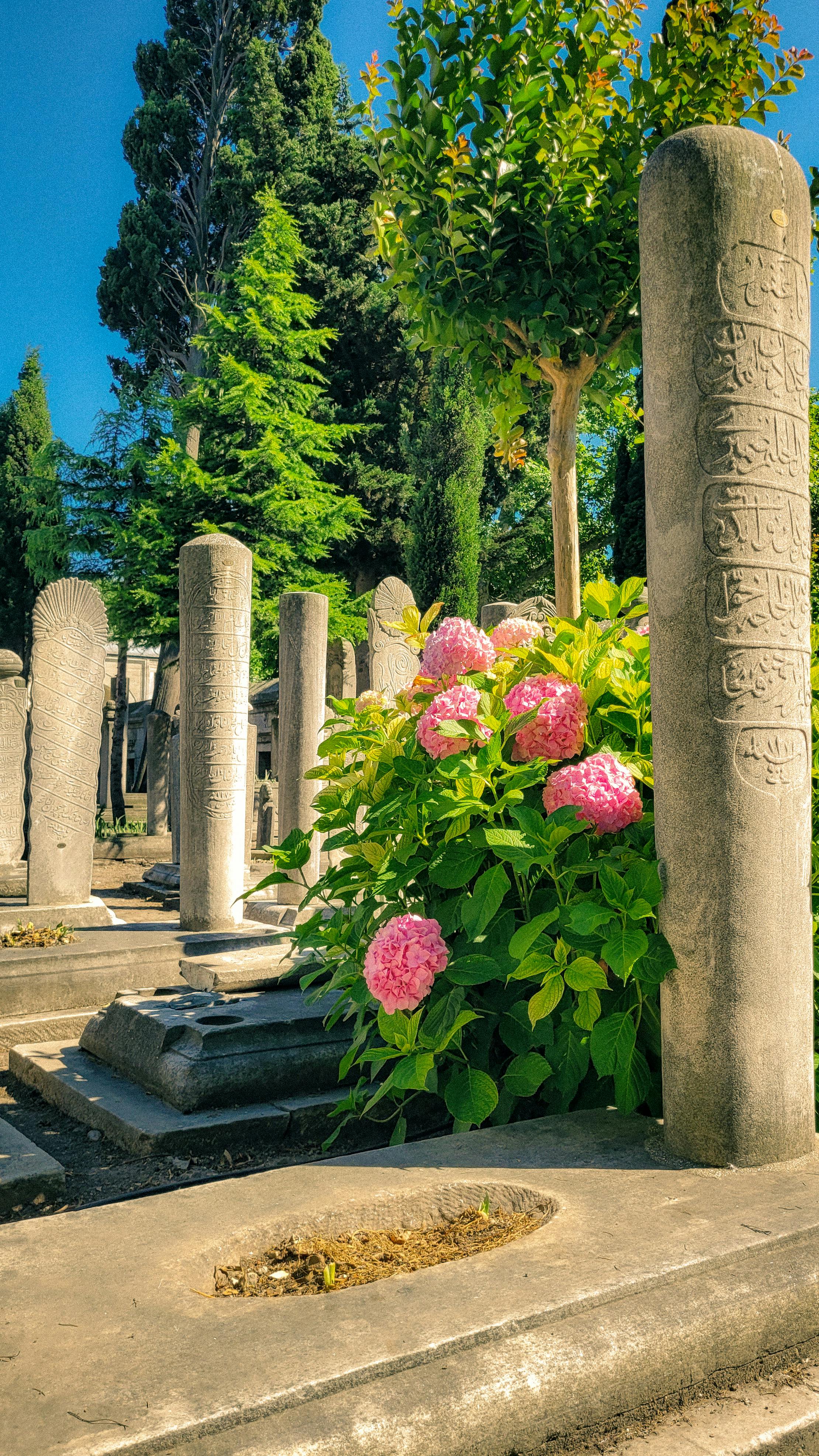 Writings on Tombstone · Free Stock Photo