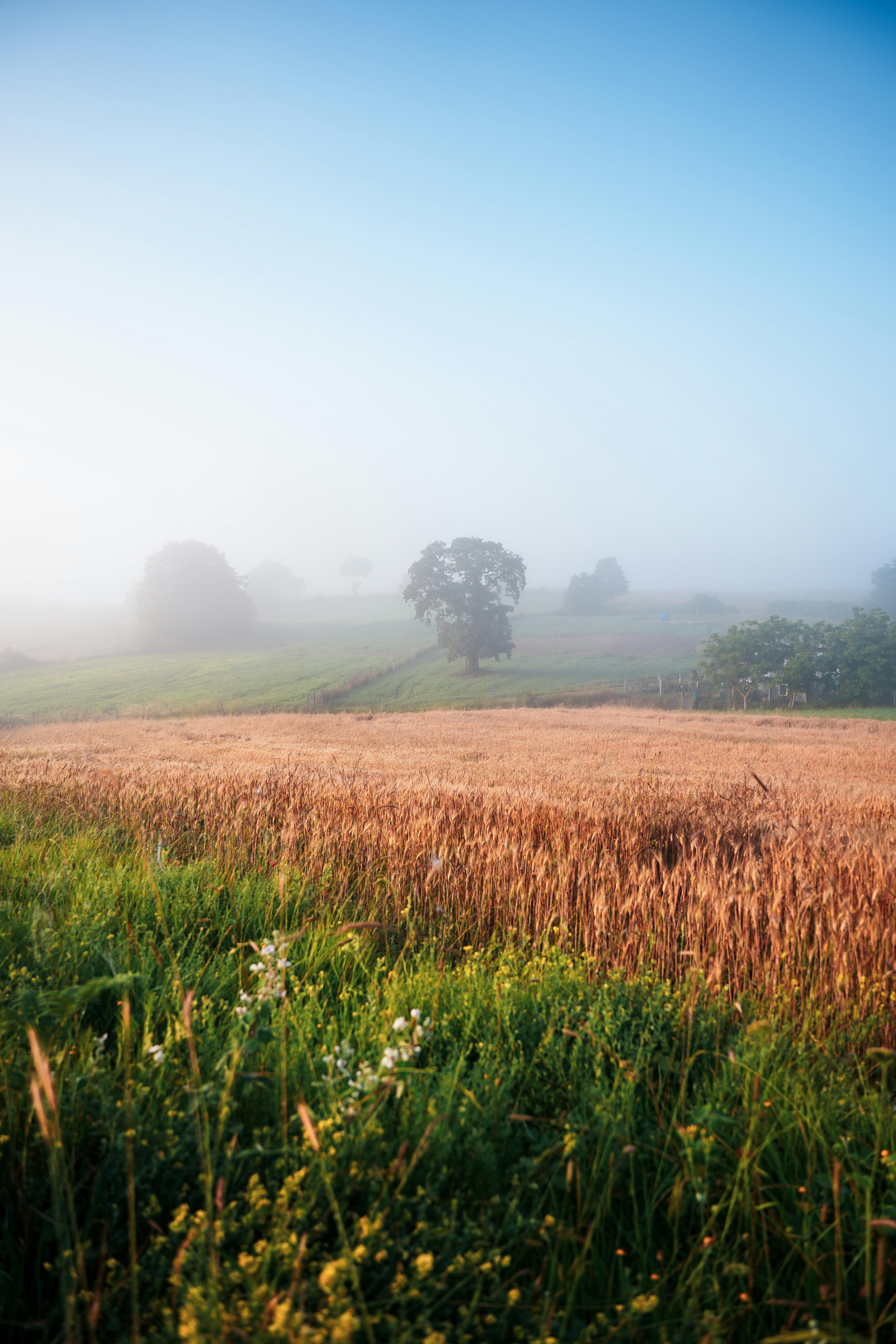 Aerial Photography of Open Field · Free Stock Photo