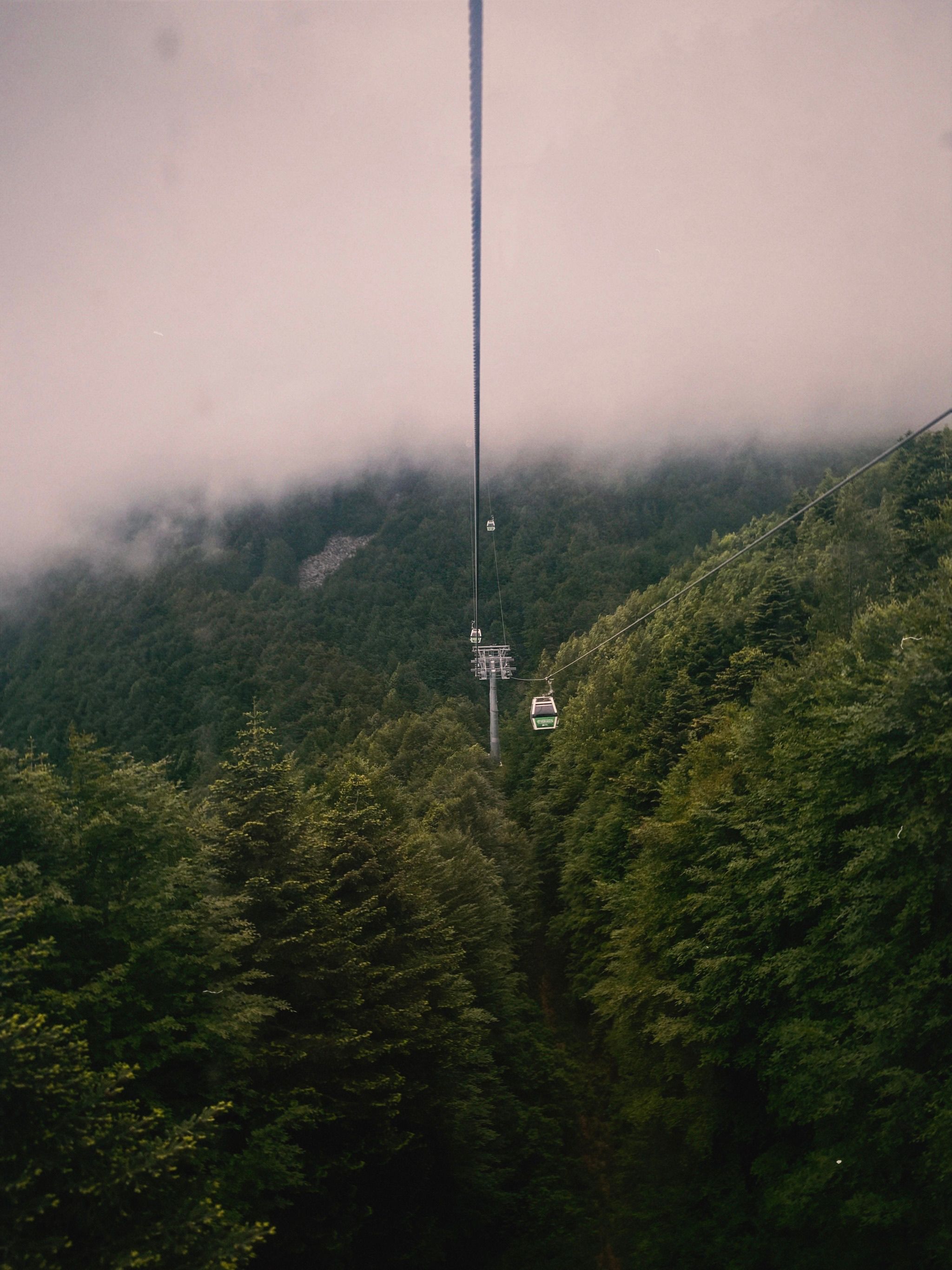 Cable Car over Forest · Free Stock Photo