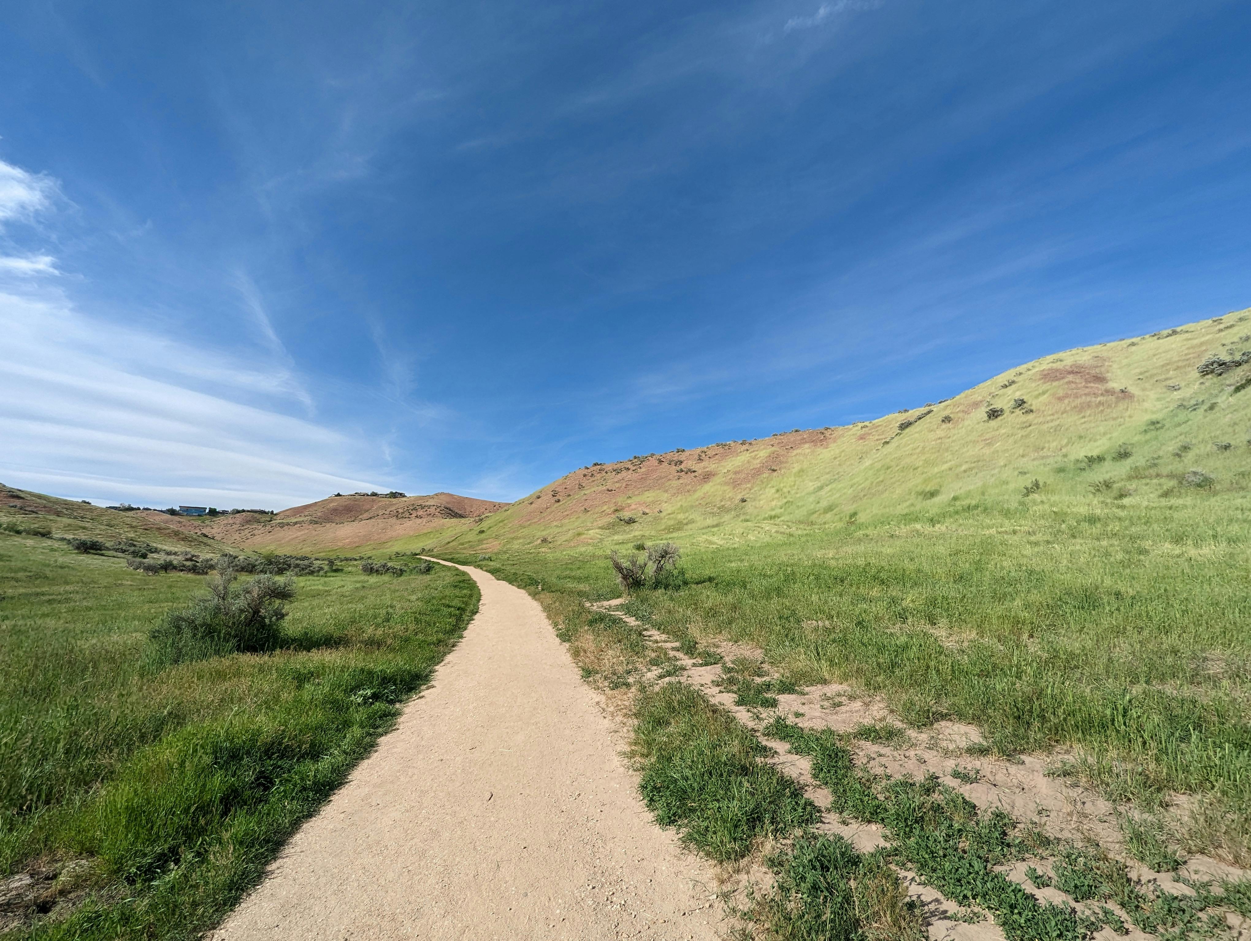 A dirt path in the middle of a grassy field · Free Stock Photo