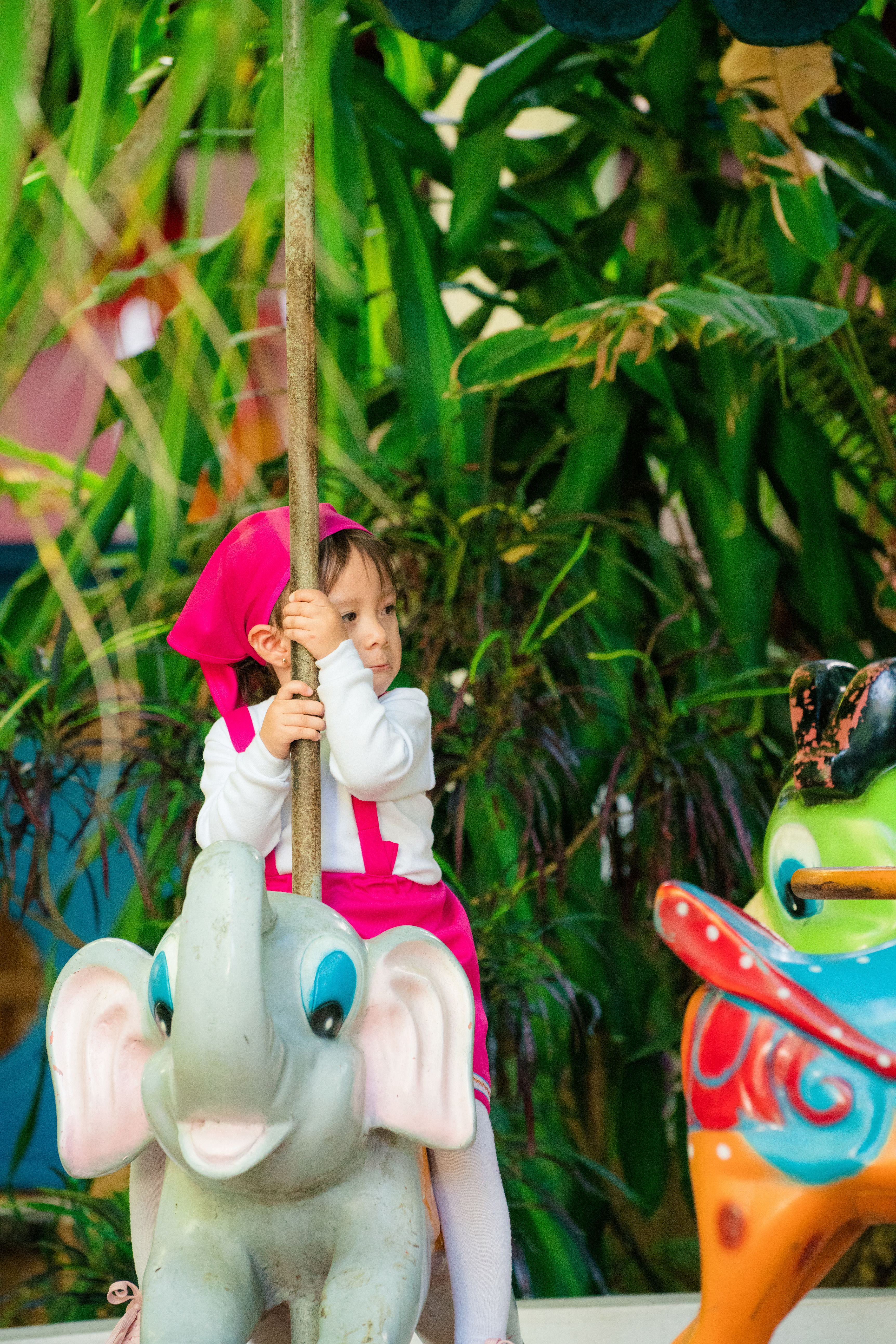 Girl Sitting on Elephant at Merry-go-round · Free Stock Photo
