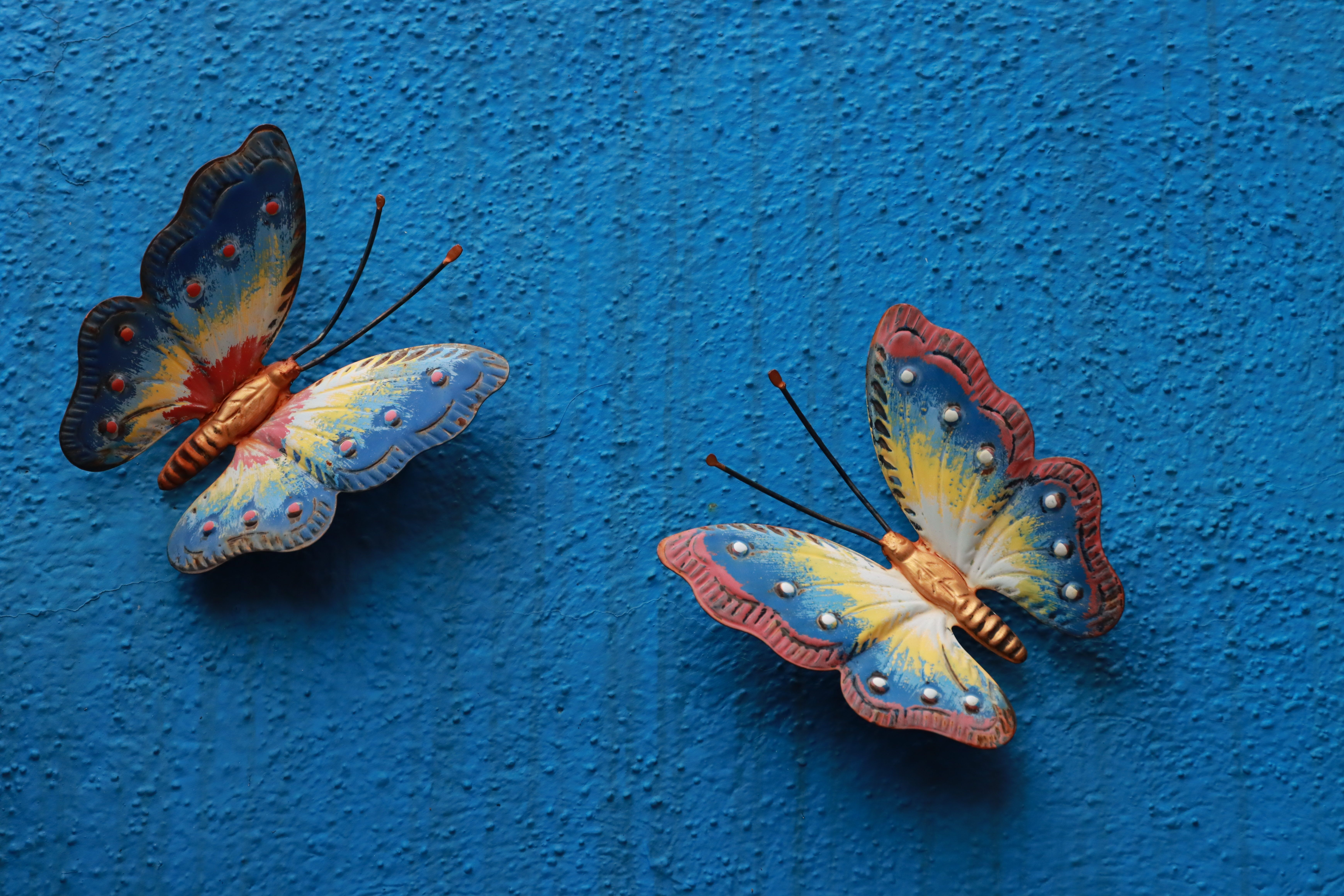 Foto de stock gratuita sobre adorno de mariposa, alas de mariposa, arte ...