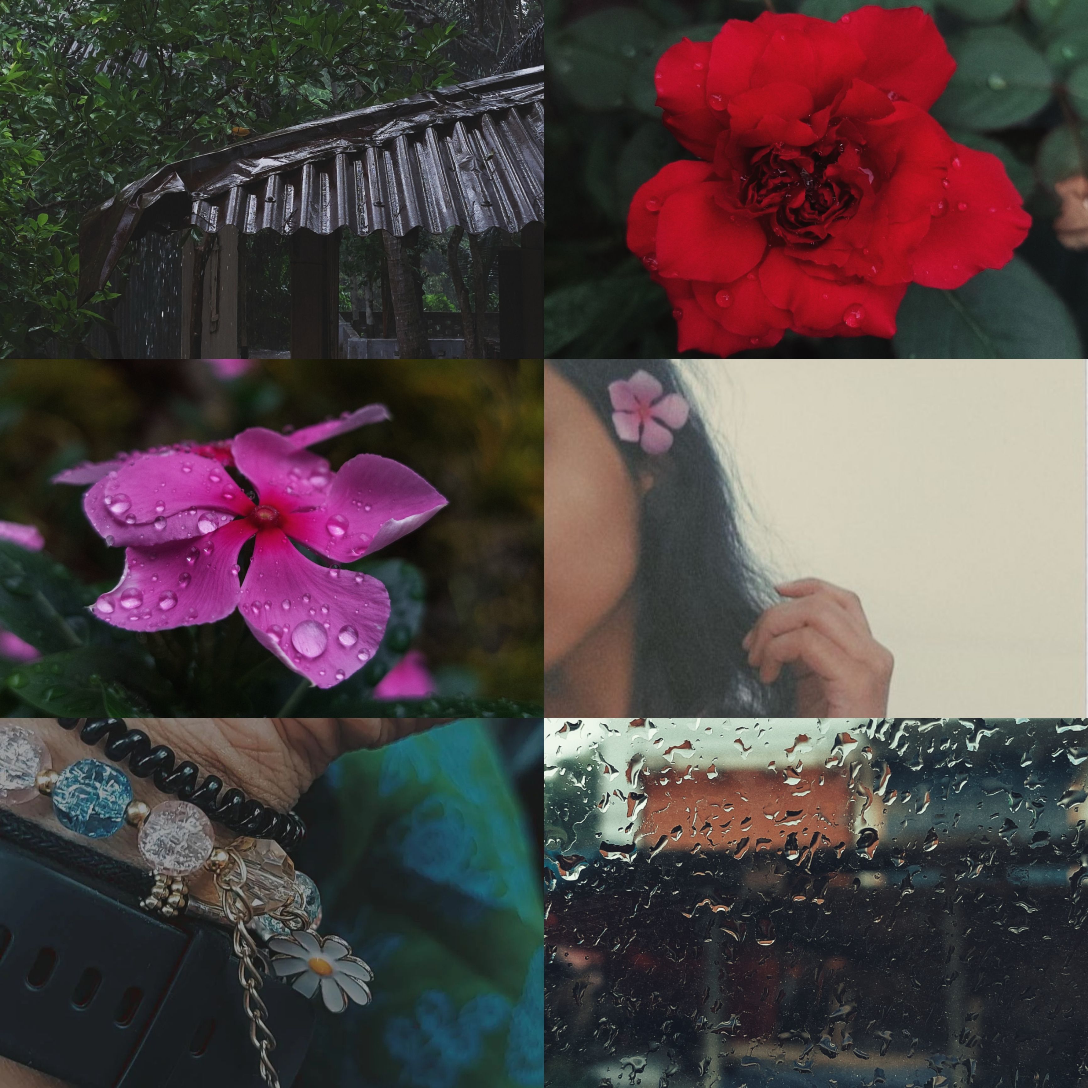 Sadia Ashraf - Photography