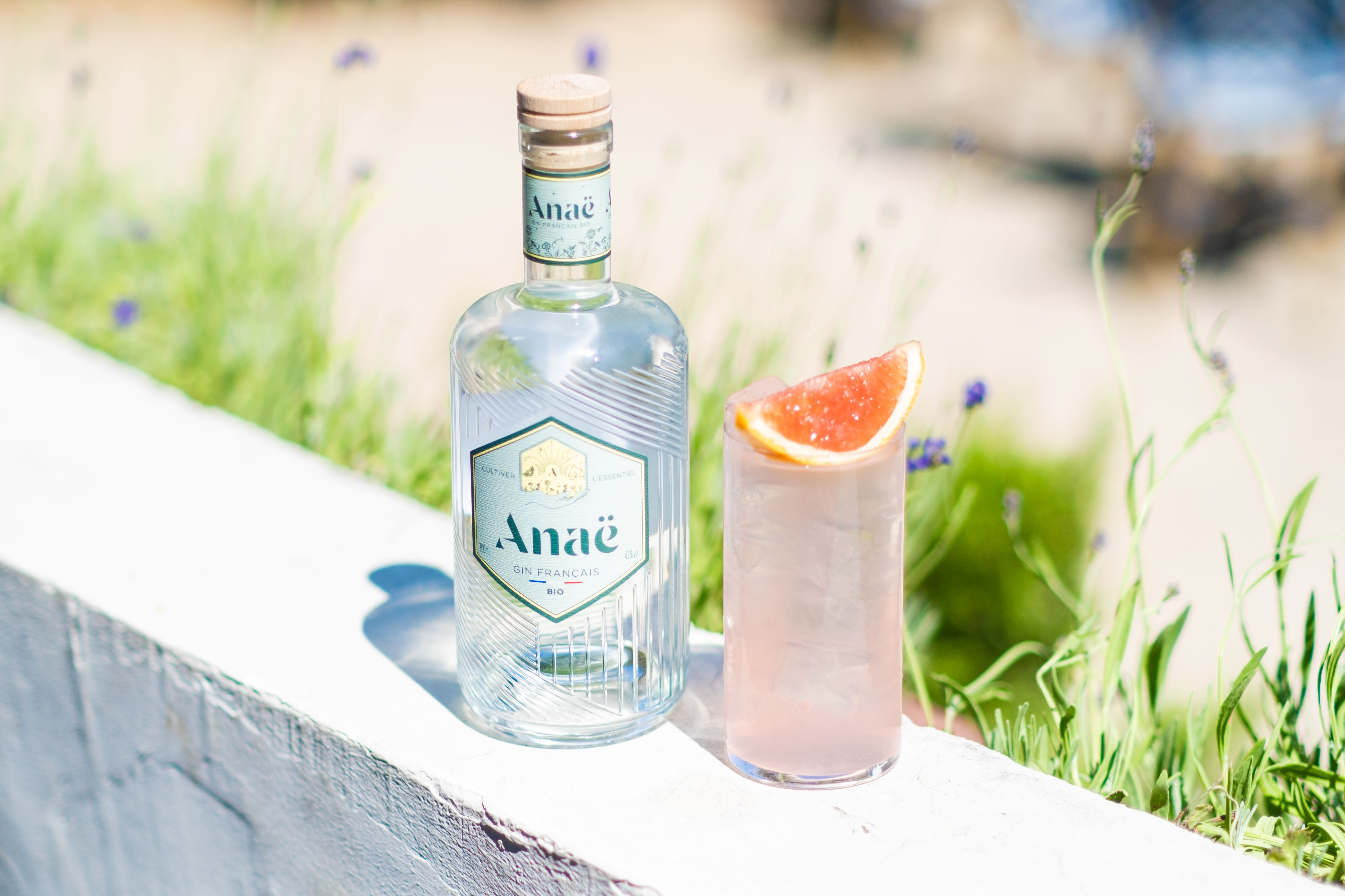 Hvidhovedet Havorn Farbe Gin Photos, Download The BEST Free Hvidhovedet ...