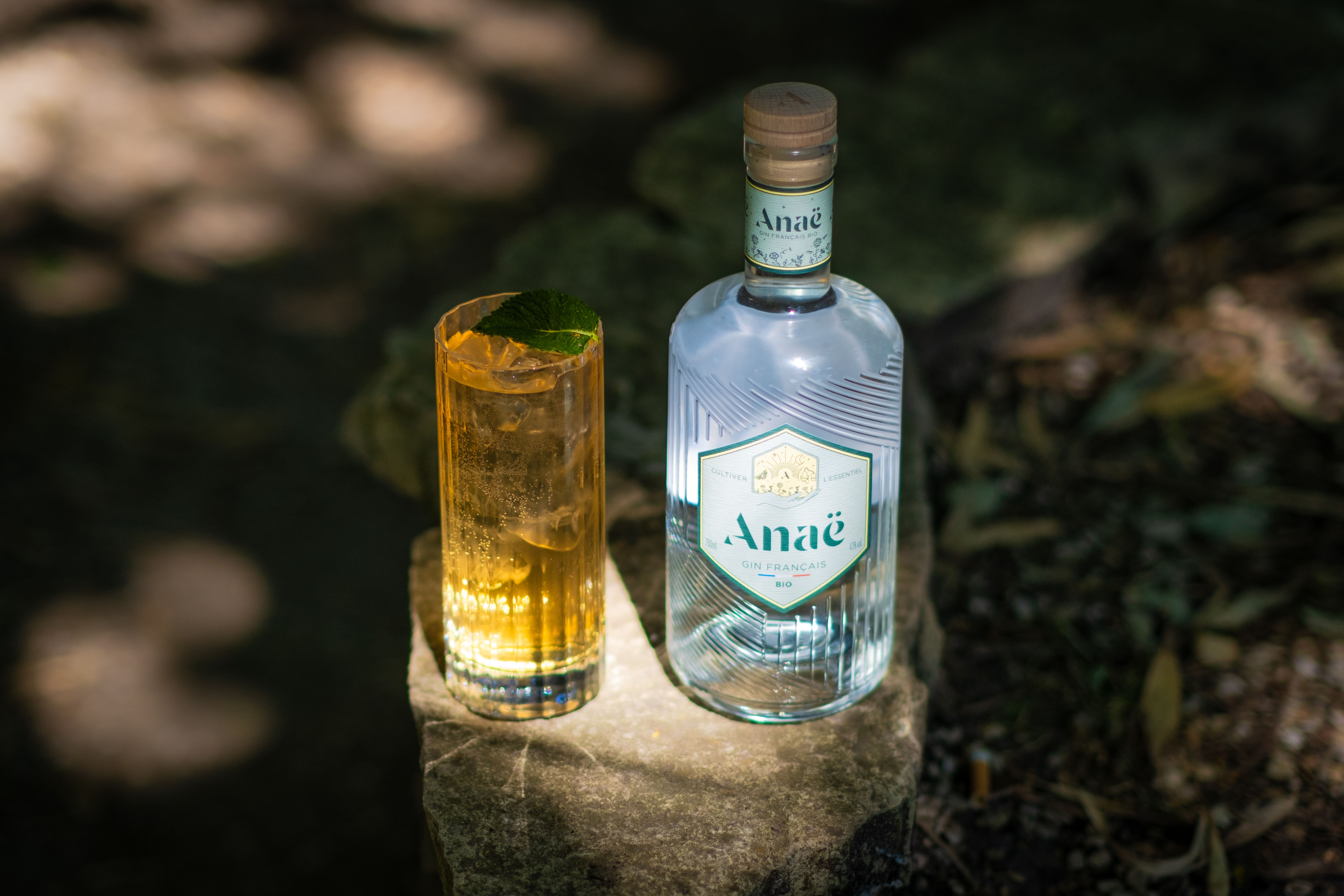 Cocktail with Gin · Free Stock Photo