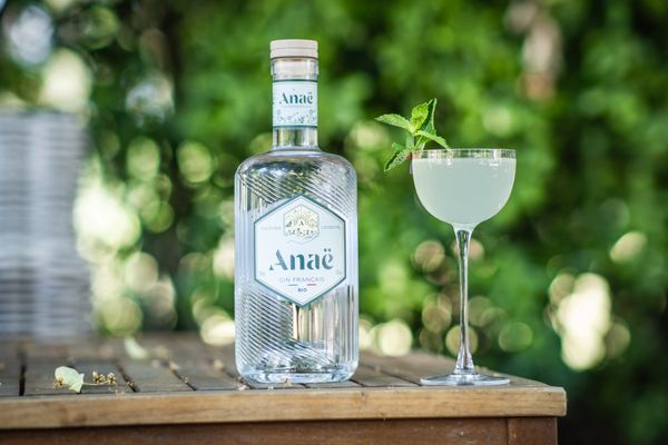 Gin Bottle Mockup Photos, Download The BEST Free Gin Bottle Mockup ...