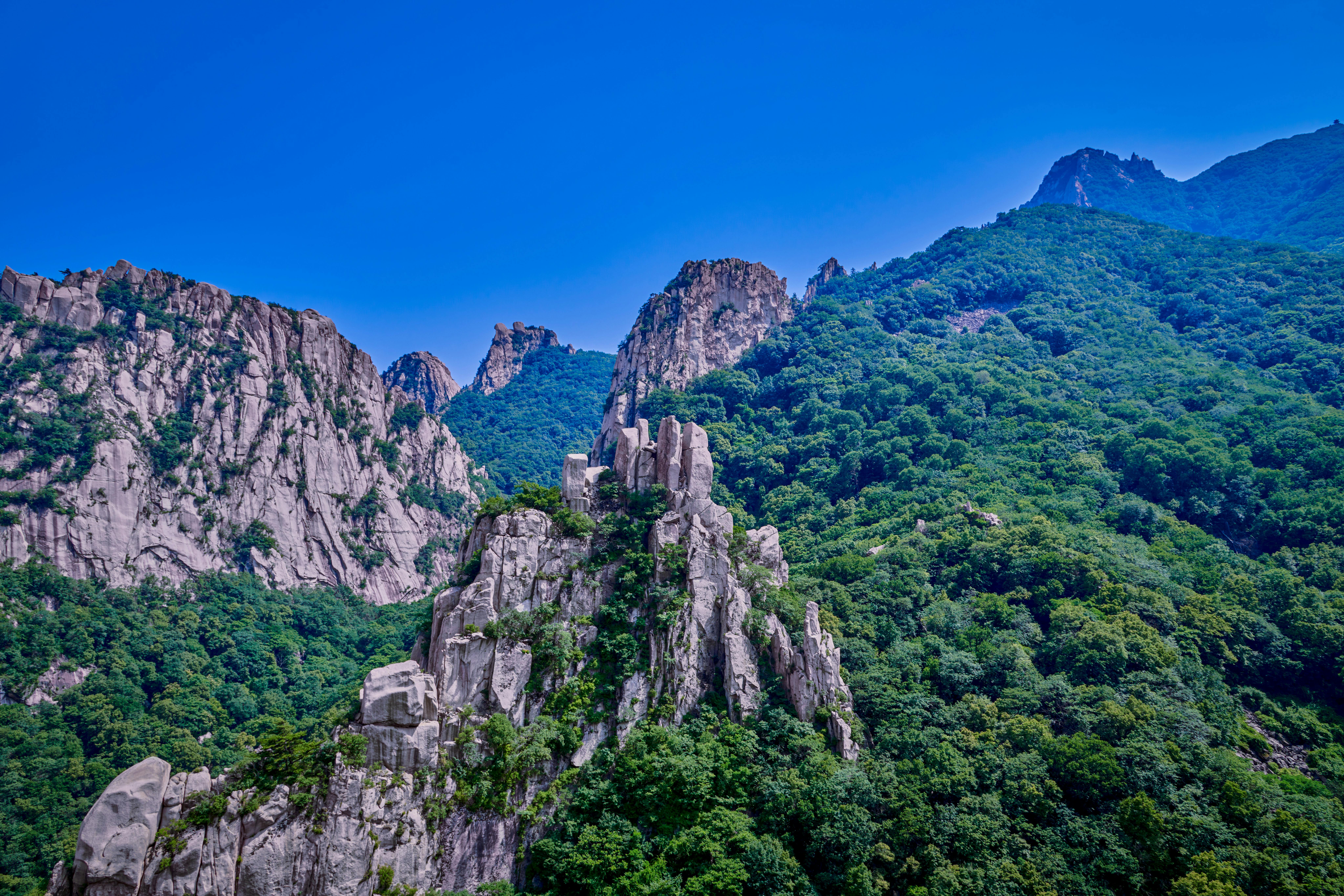 Rocks Sticking Out Above the Forest on the Mountainside · Free Stock Photo