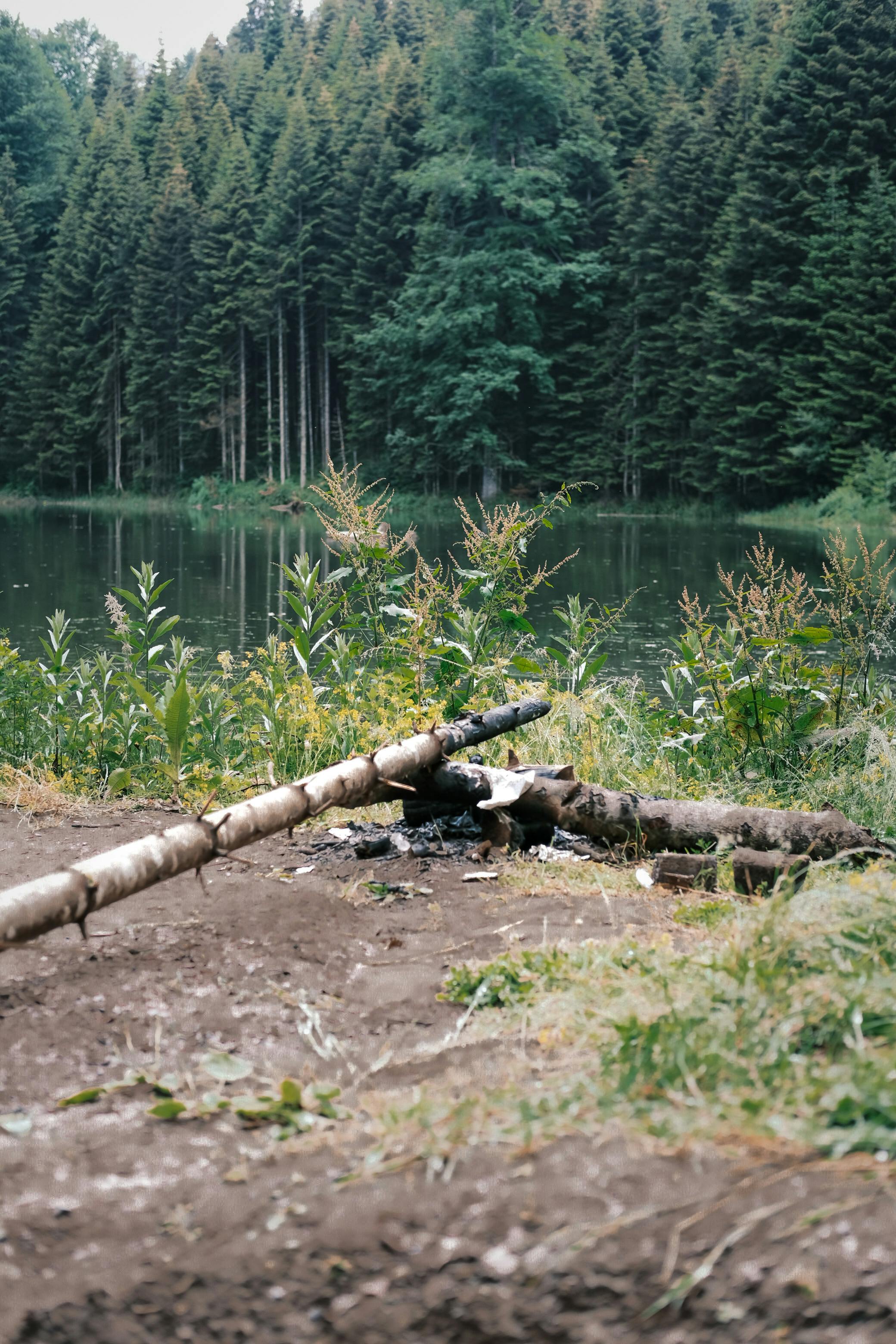 Scorching Photos, Download The BEST Free Scorching Stock Photos & HD Images