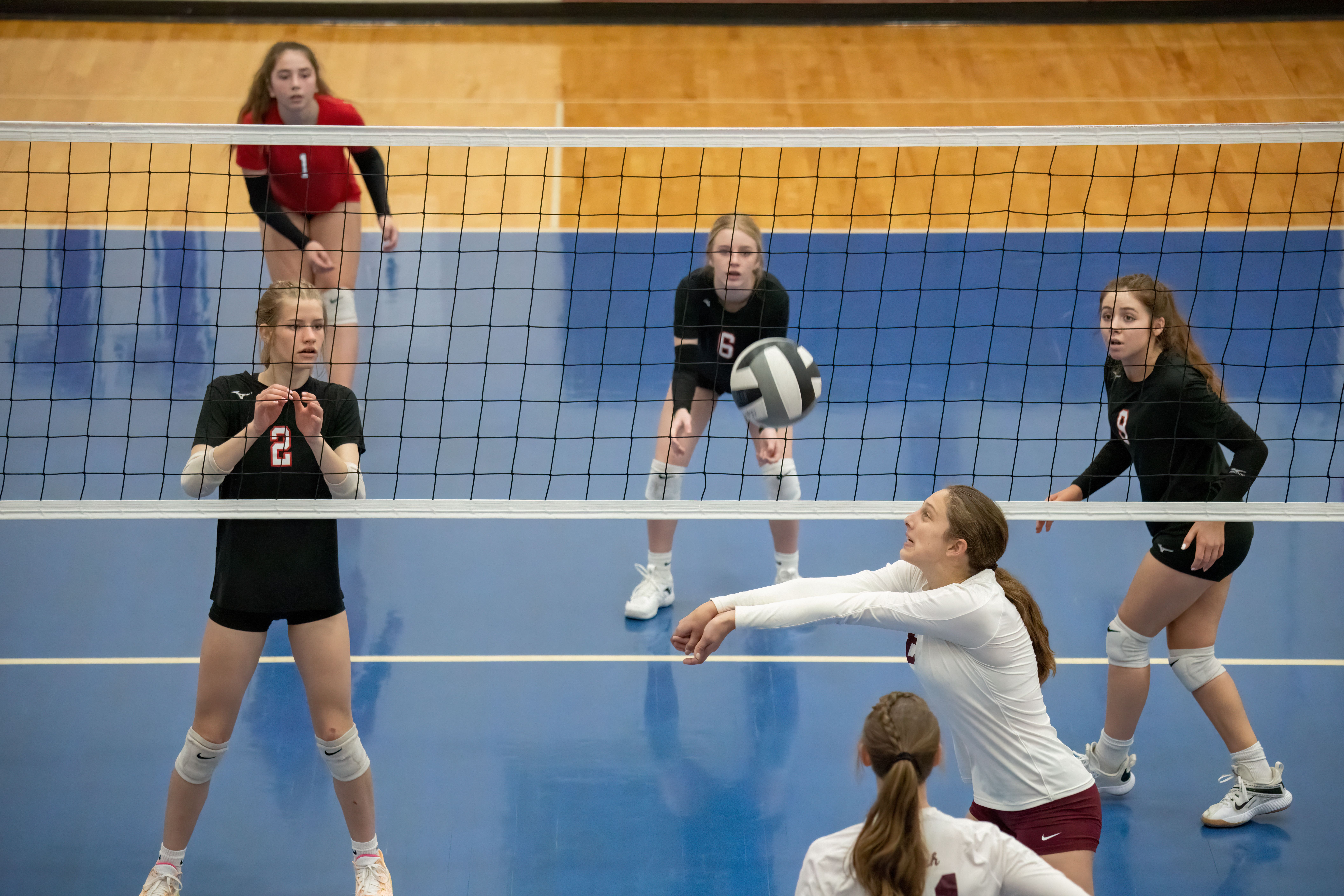 Group of People Playing Volleyball · Free Stock Photo