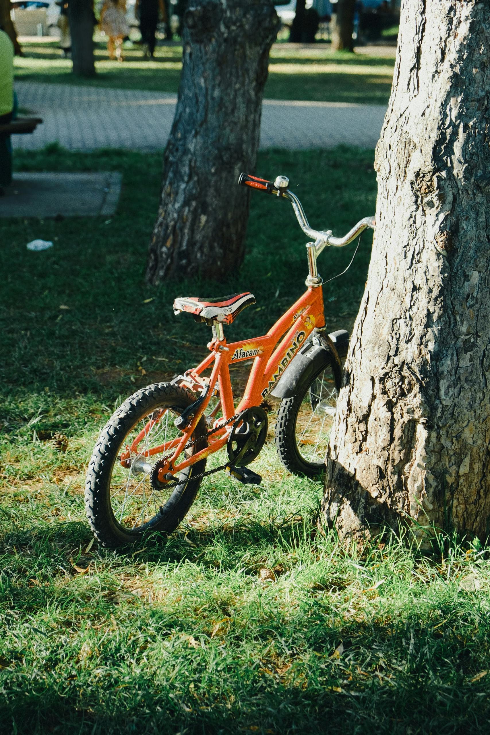 BMX Leaning on Tree in Park · Free Stock Photo