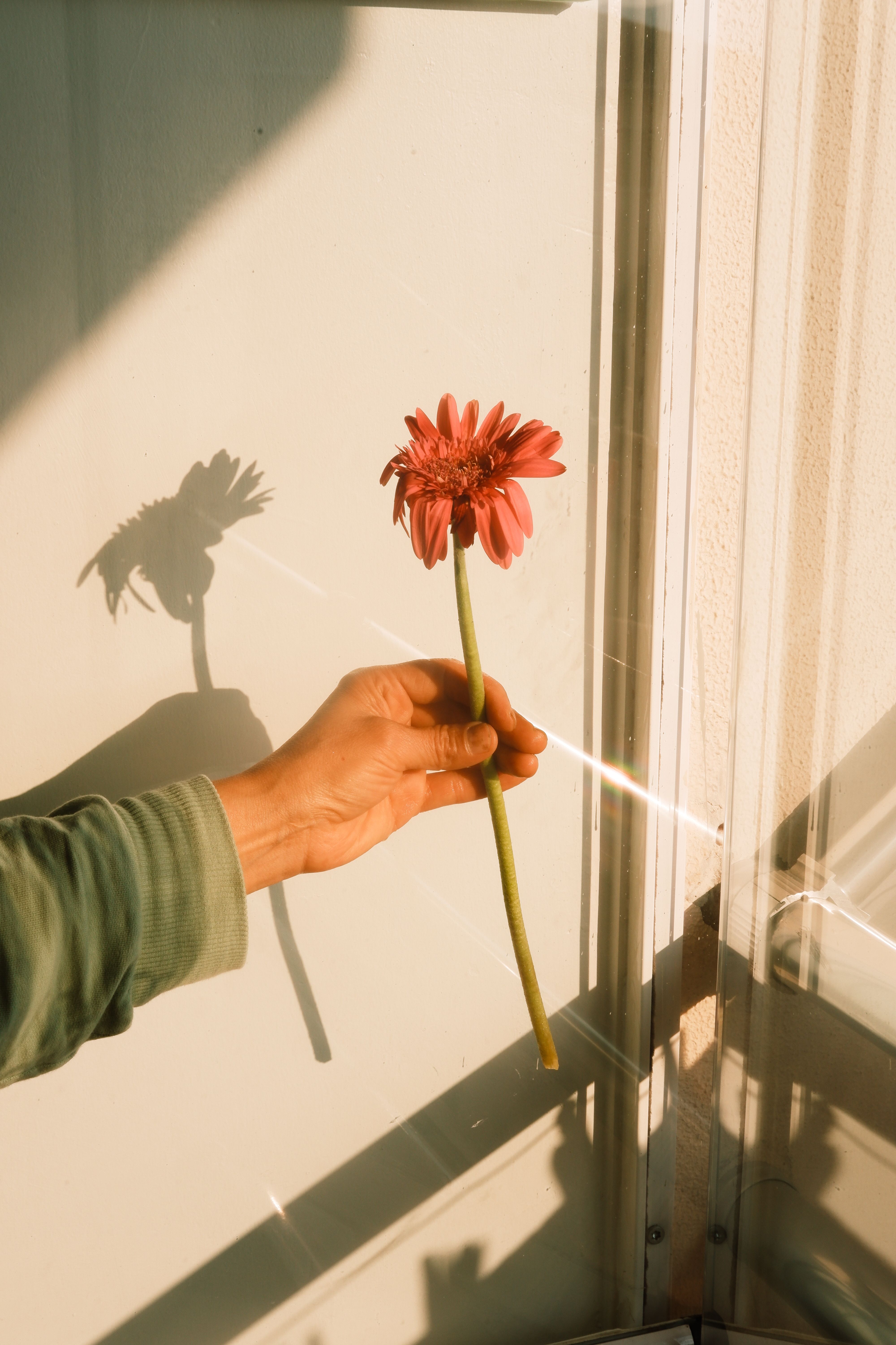 Hand Casting Shadow on Wall · Free Stock Photo