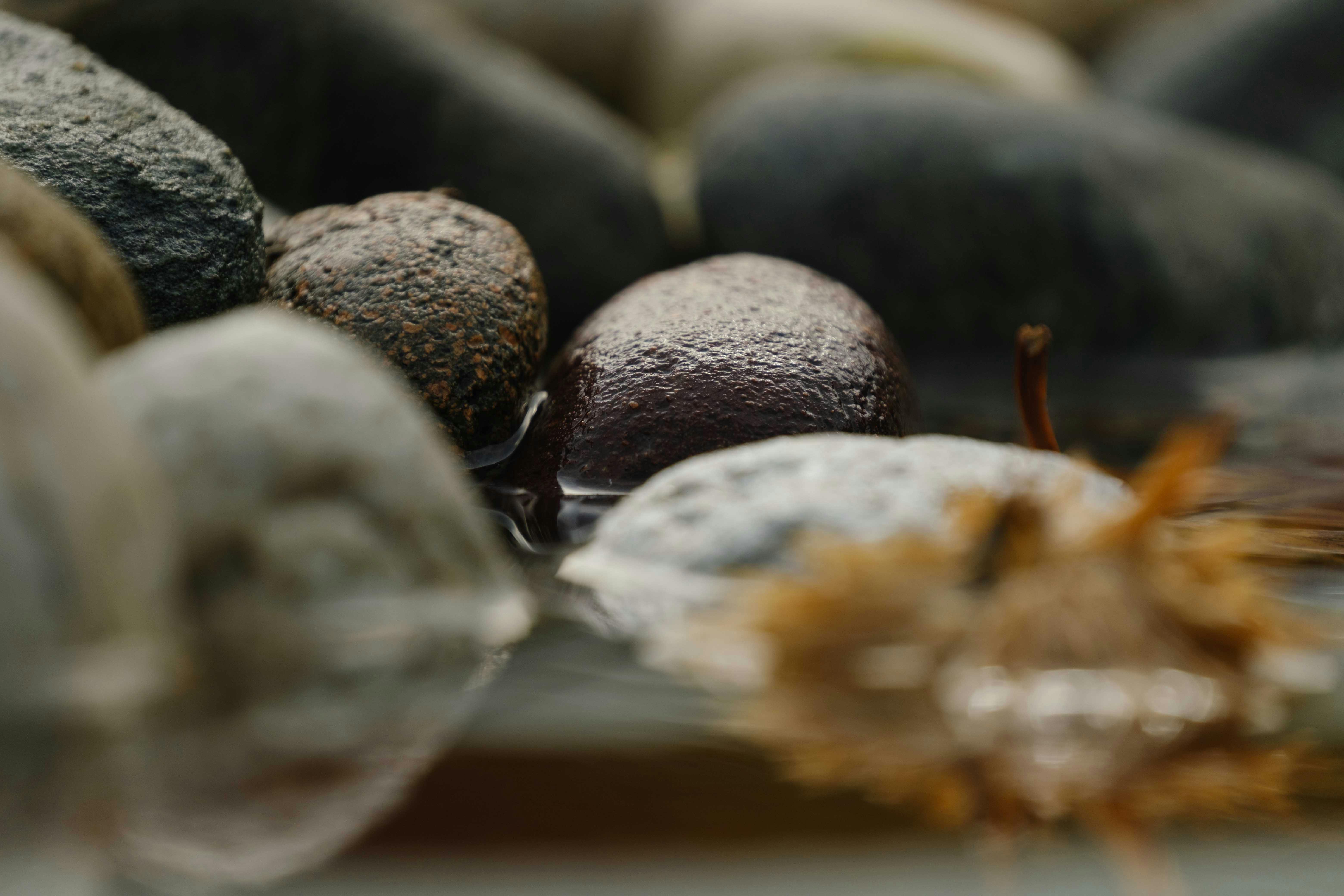 Wet Stones in Water · Free Stock Photo