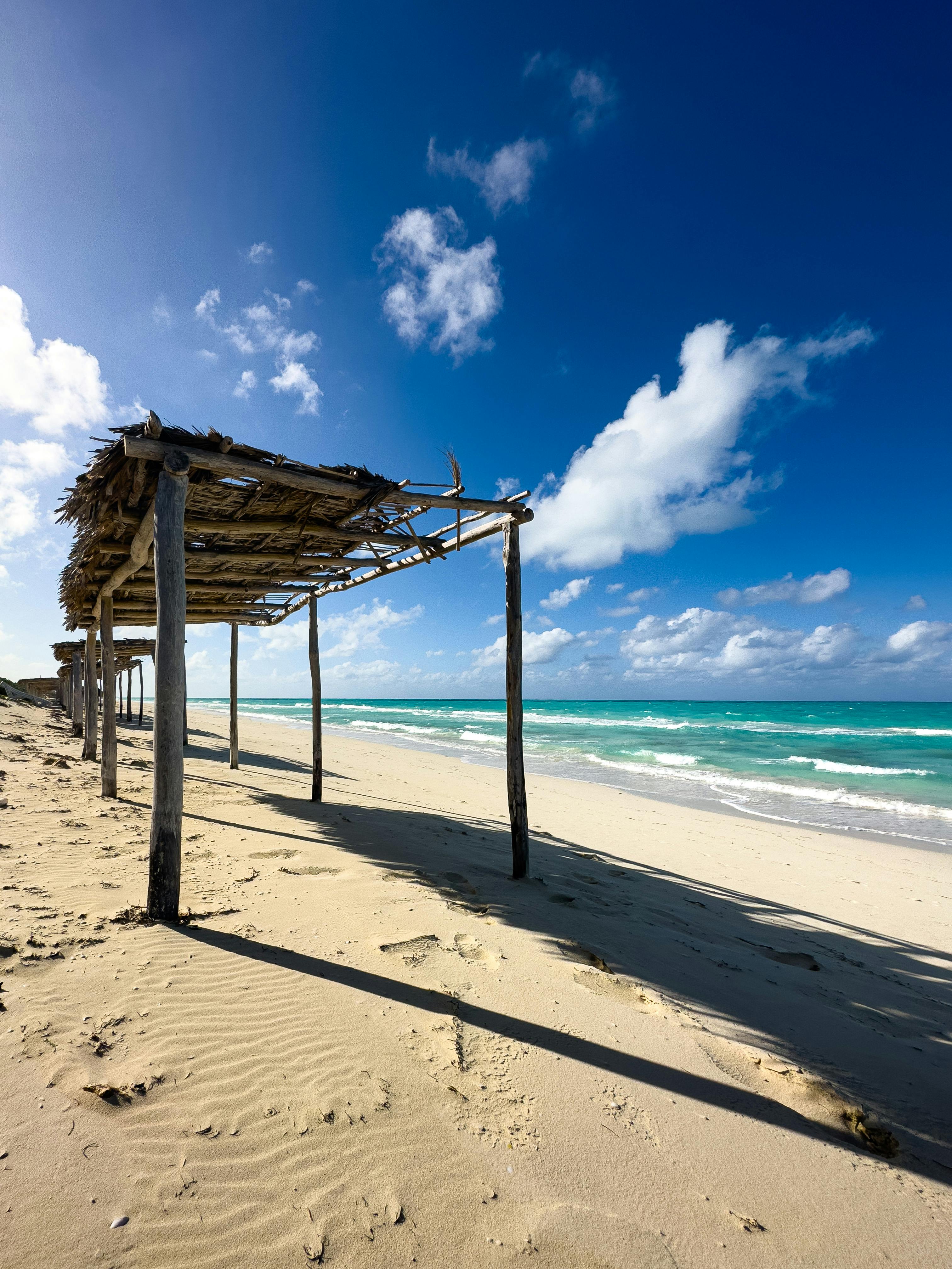 Sunlit Beach on Sea Shore · Free Stock Photo