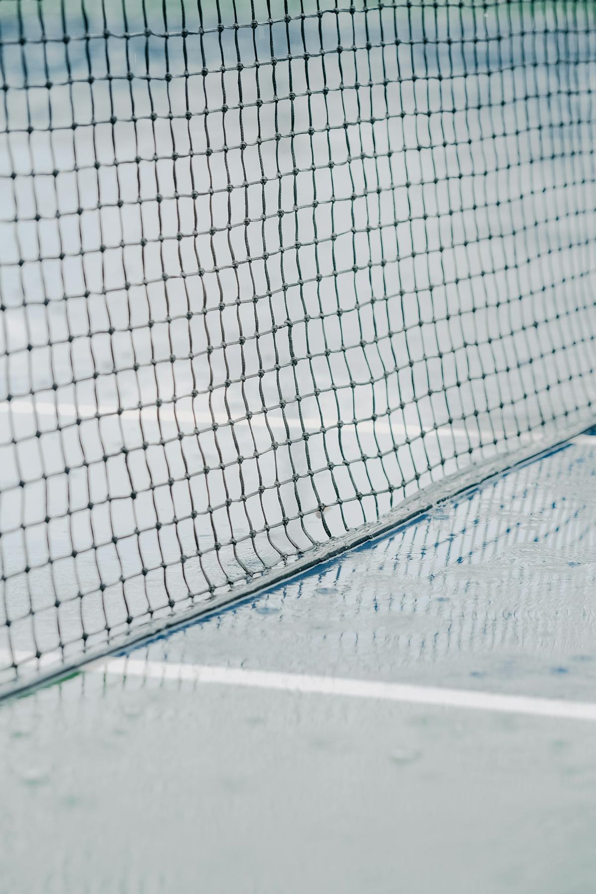 Wet Net Photos, Download The BEST Free Wet Net Stock Photos & HD Images