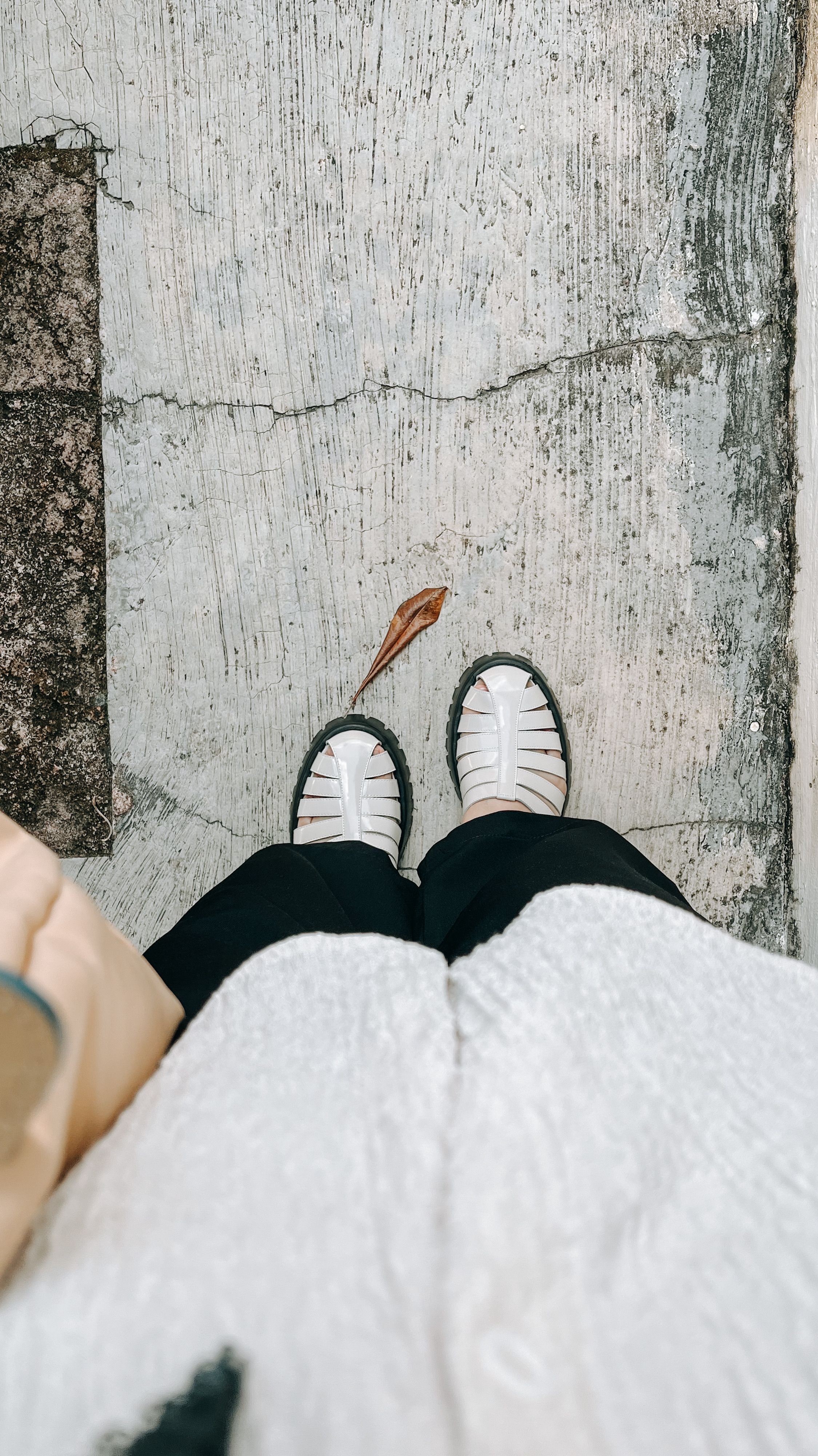 Banded Shoes Photos, Download The BEST Free Banded Shoes Stock Photos ...