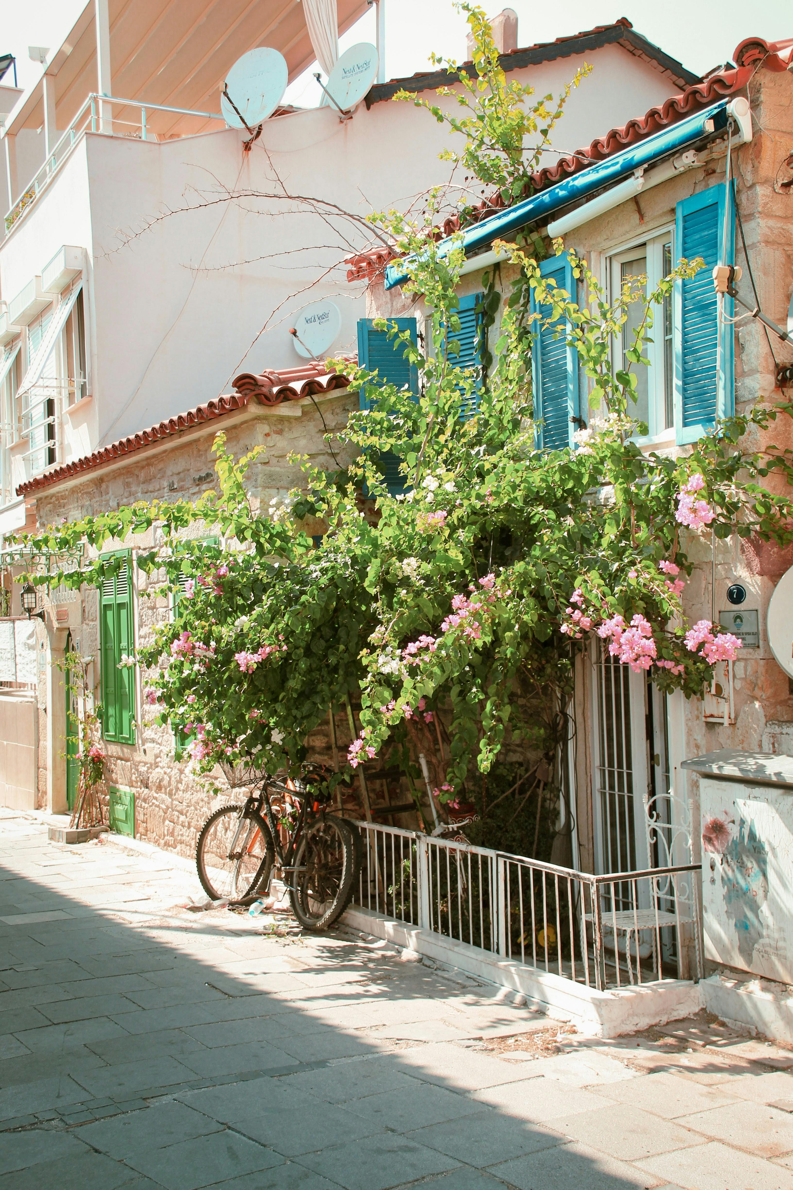 European Alley Photos, Download The BEST Free European Alley Stock ...