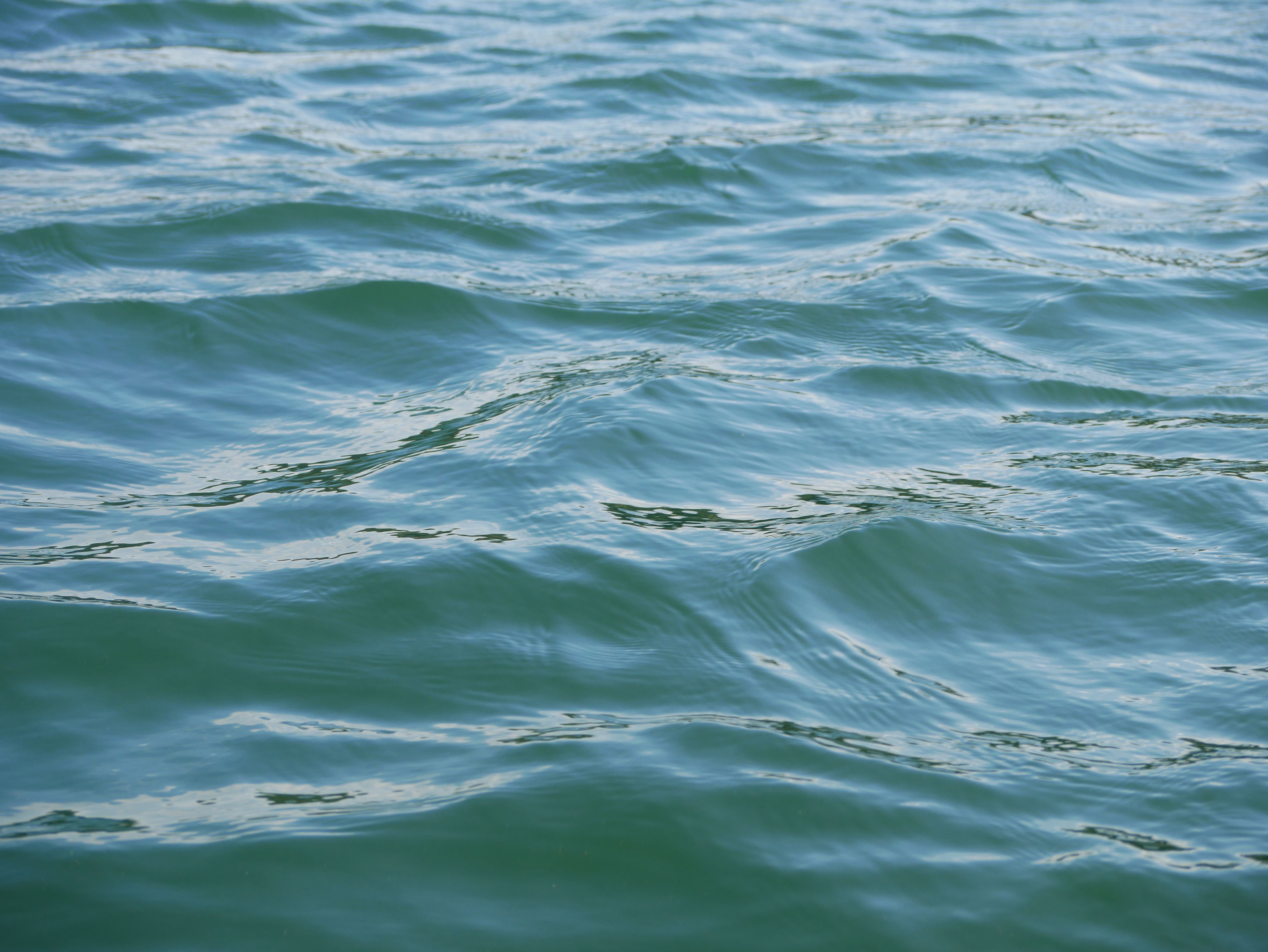 Blue Body of Water · Free Stock Photo
