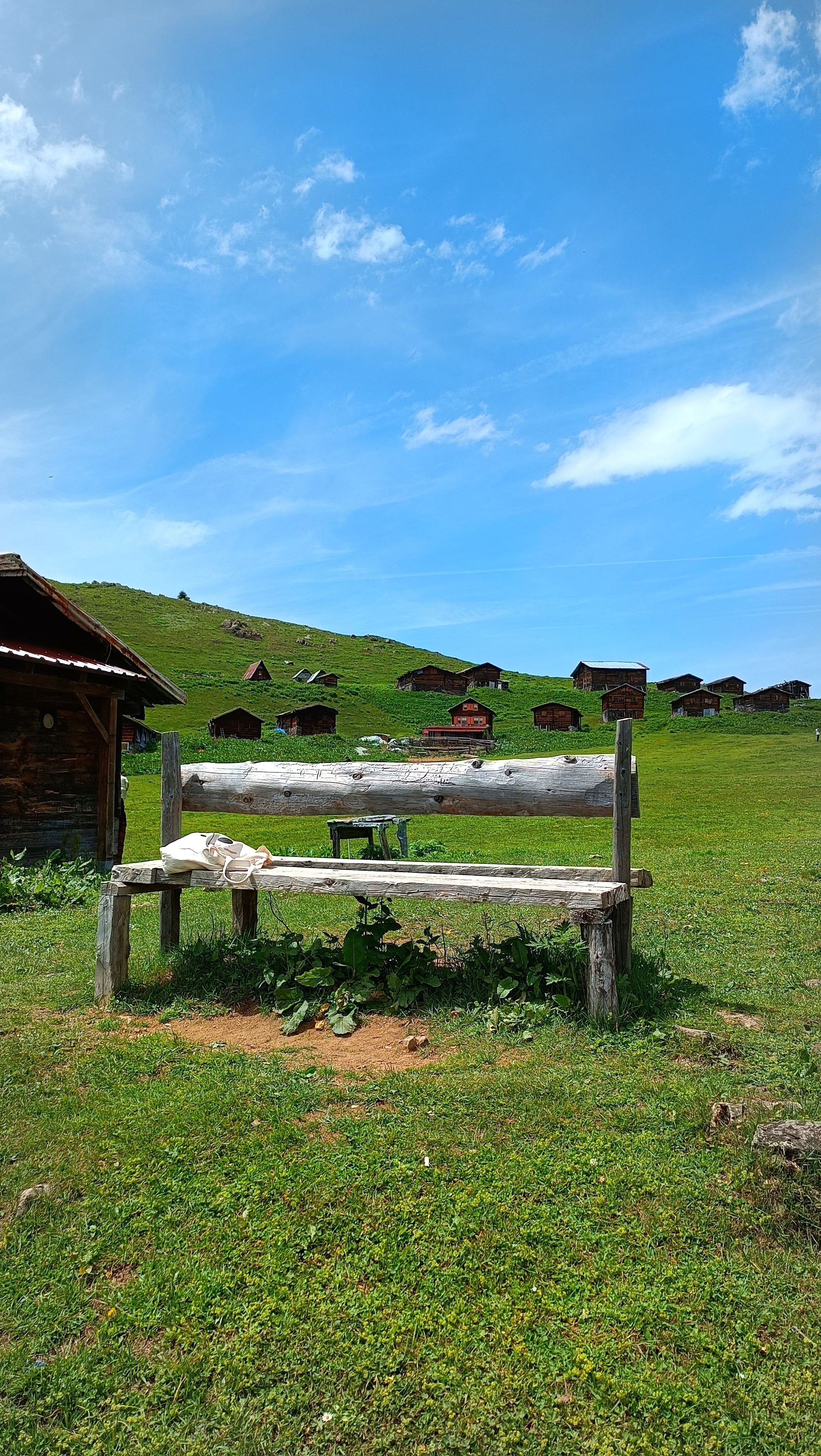 Sunlit Bench in Countryside · Free Stock Photo
