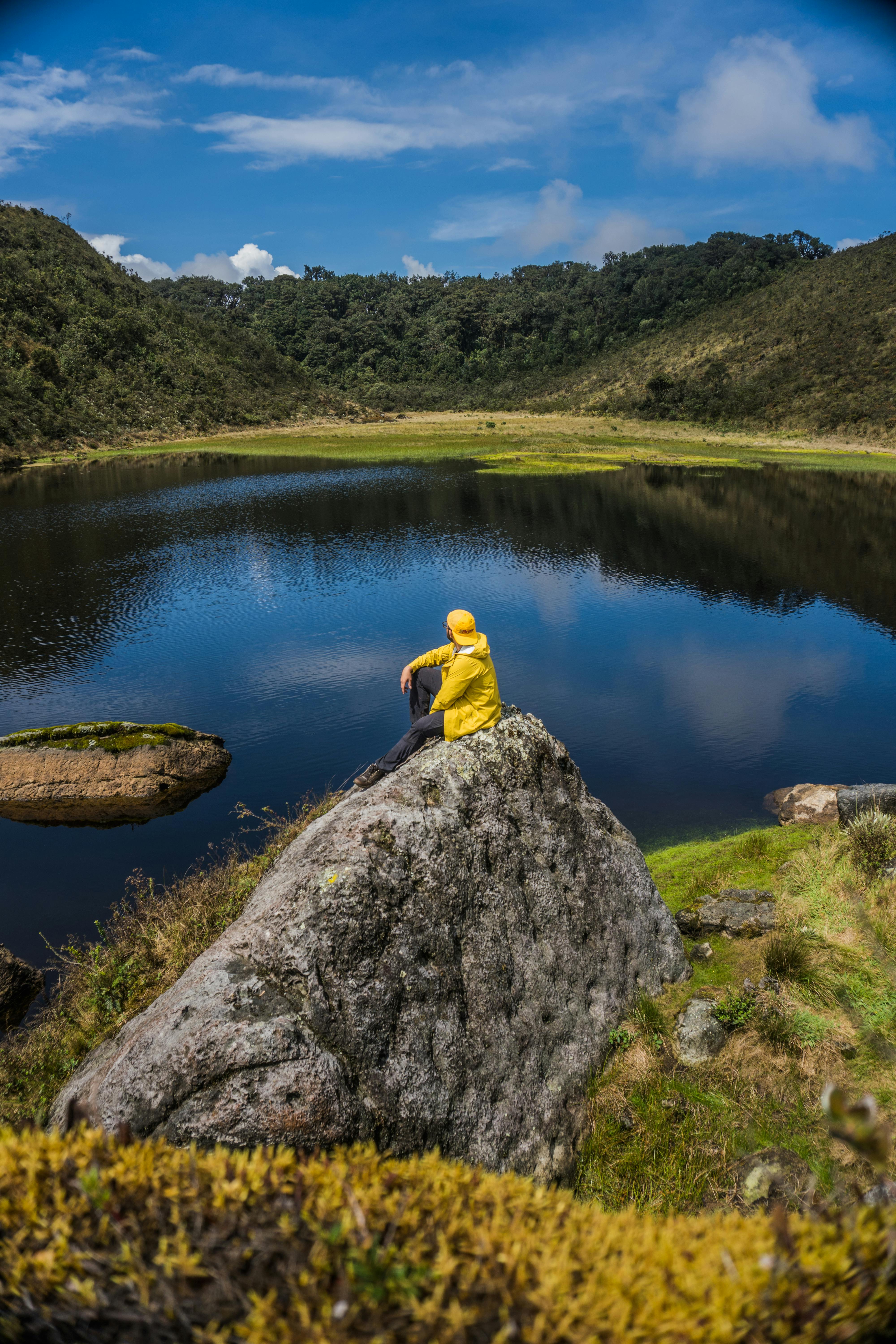Manta Solo Photos, Download The BEST Free Manta Solo Stock Photos & HD ...