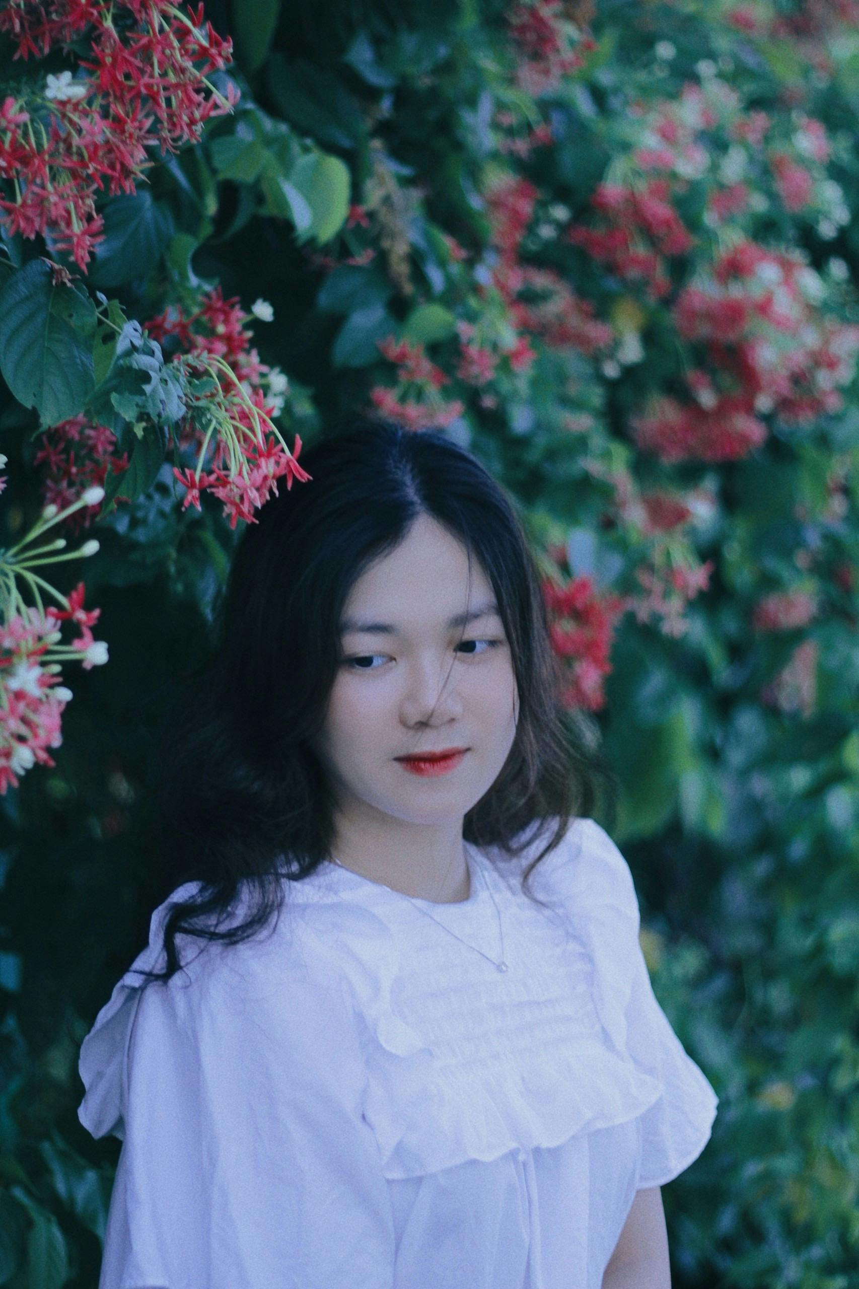 Phúc Hoàng - Fotografía