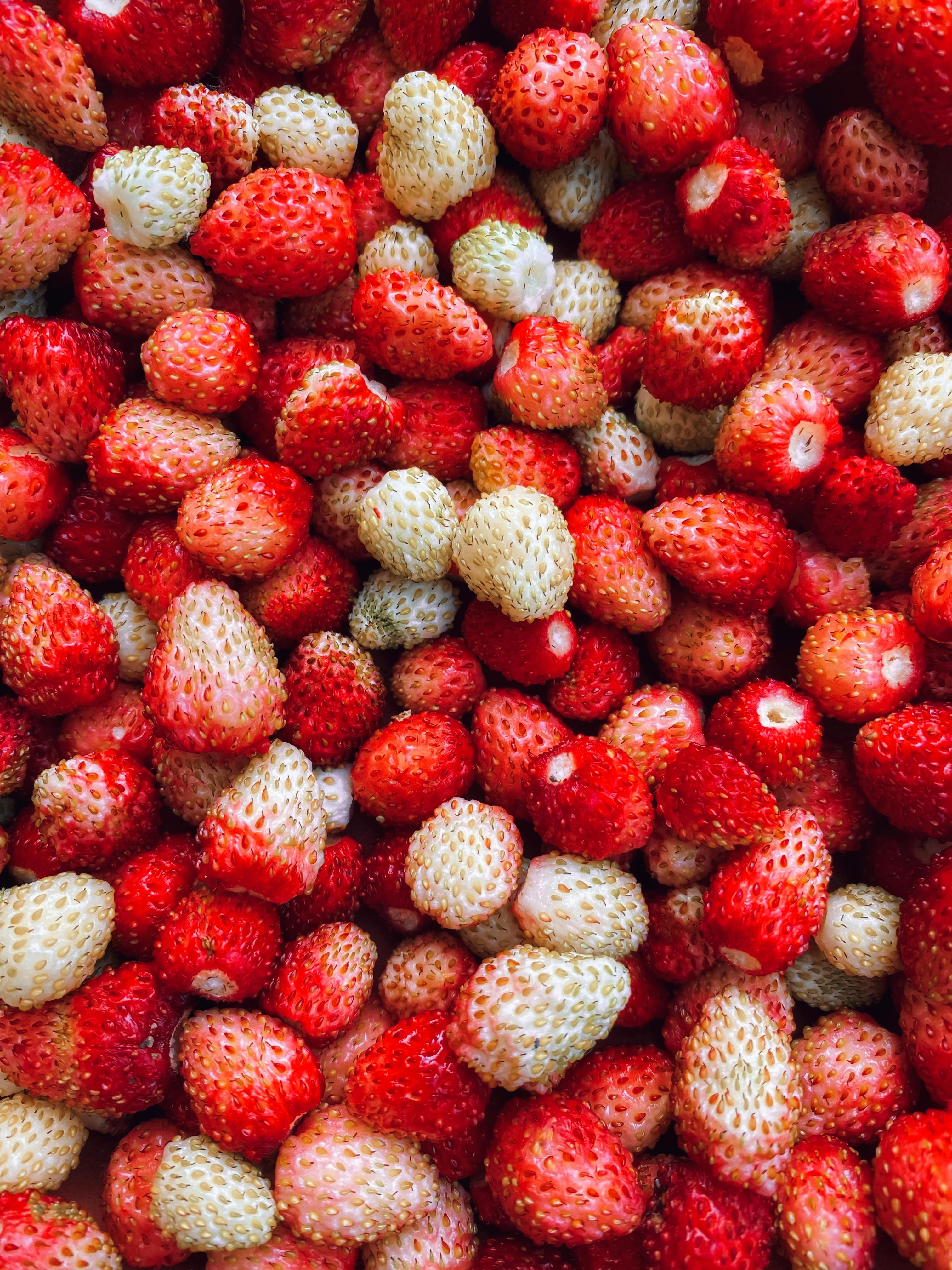 Fruit Stuff Photos, Download The BEST Free Fruit Stuff Stock Photos ...