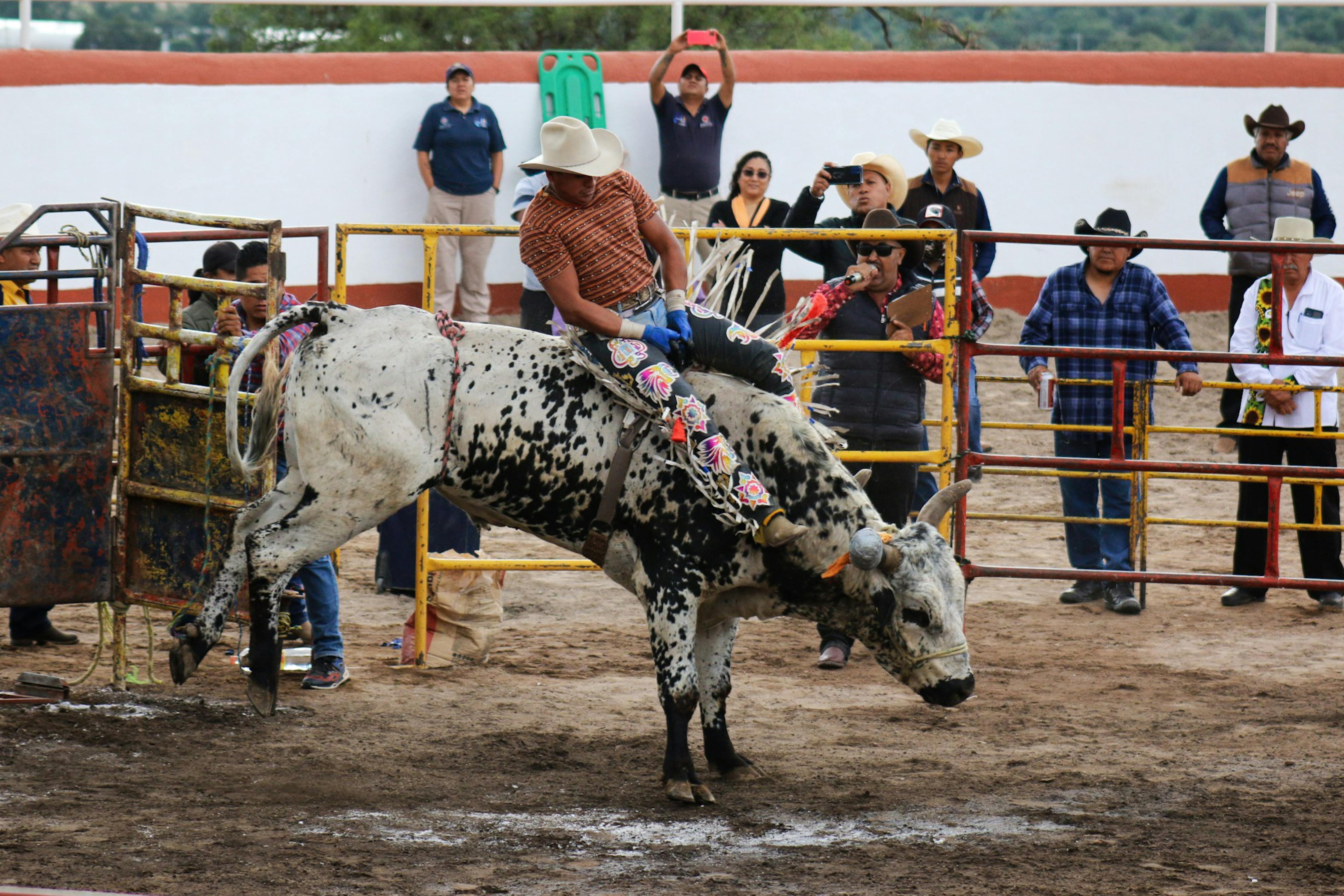 At The Rodeo Photos, Download The BEST Free At The Rodeo Stock Photos ...