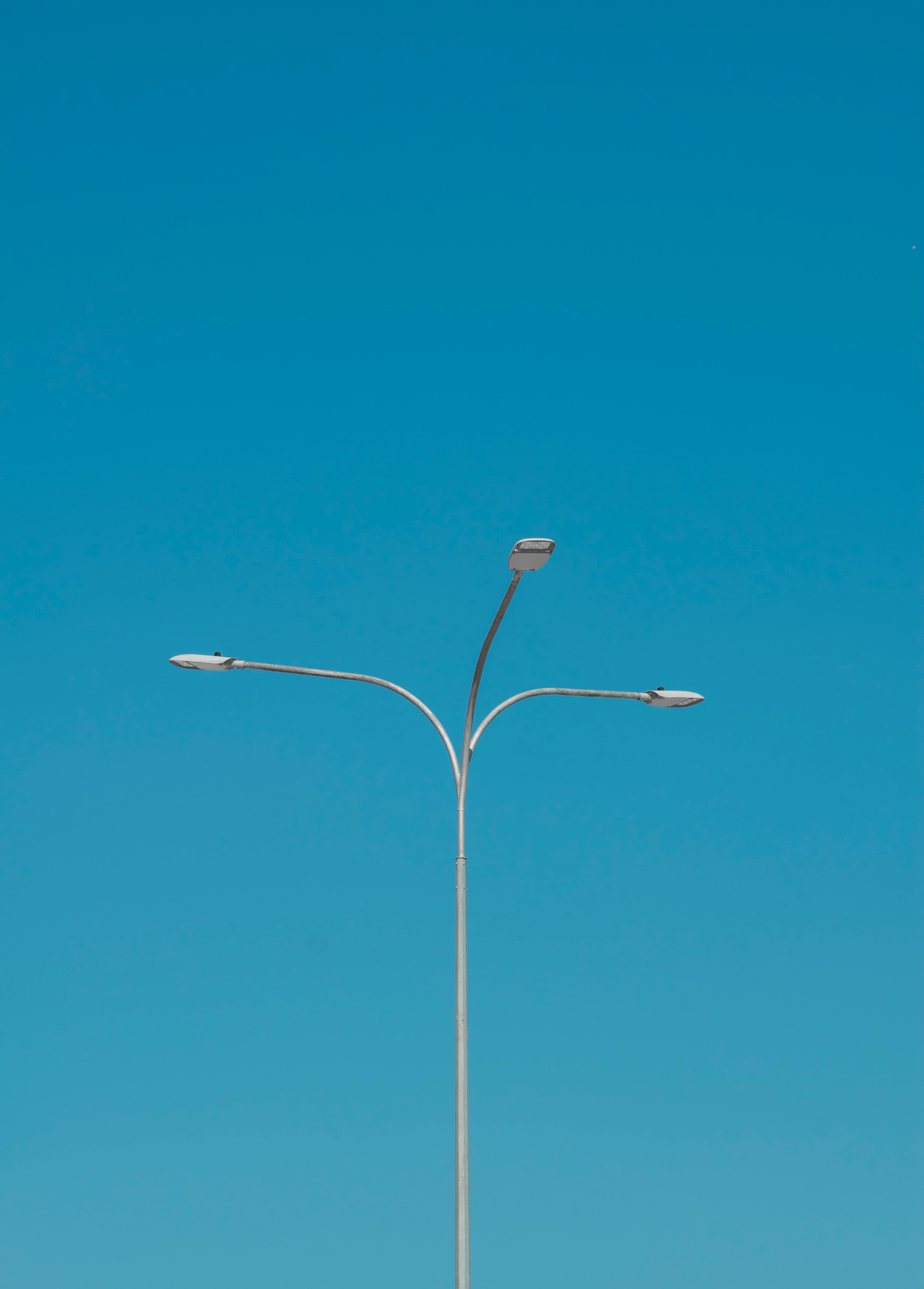 Growth Aesthetic Photos, Download The BEST Free Growth Aesthetic Stock ...