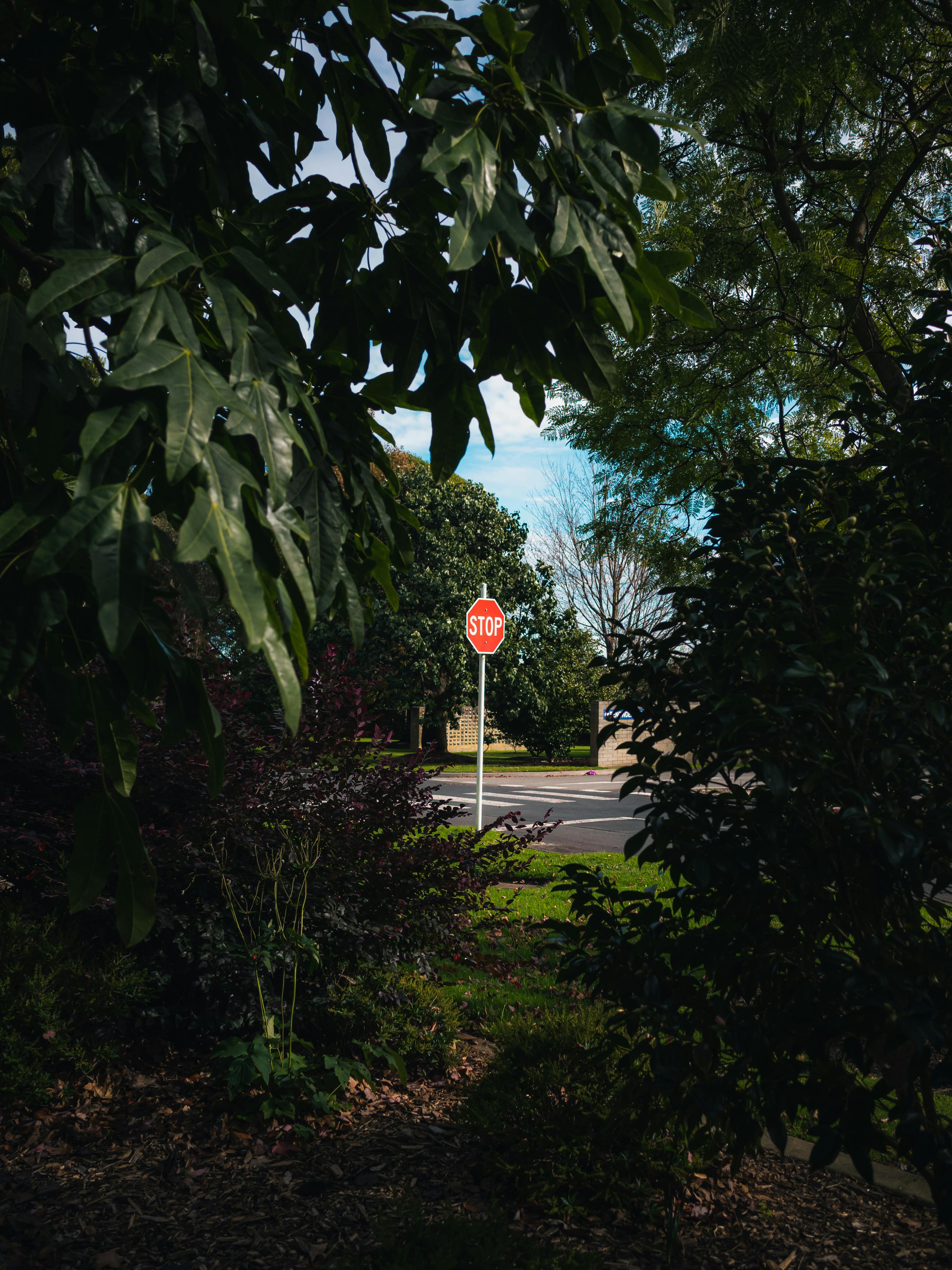 Stop Sign behind Green Bushes · Free Stock Photo