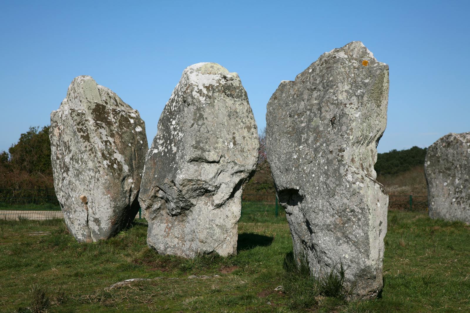 Carnac Stones Photos, Download The BEST Free Carnac Stones Stock Photos ...